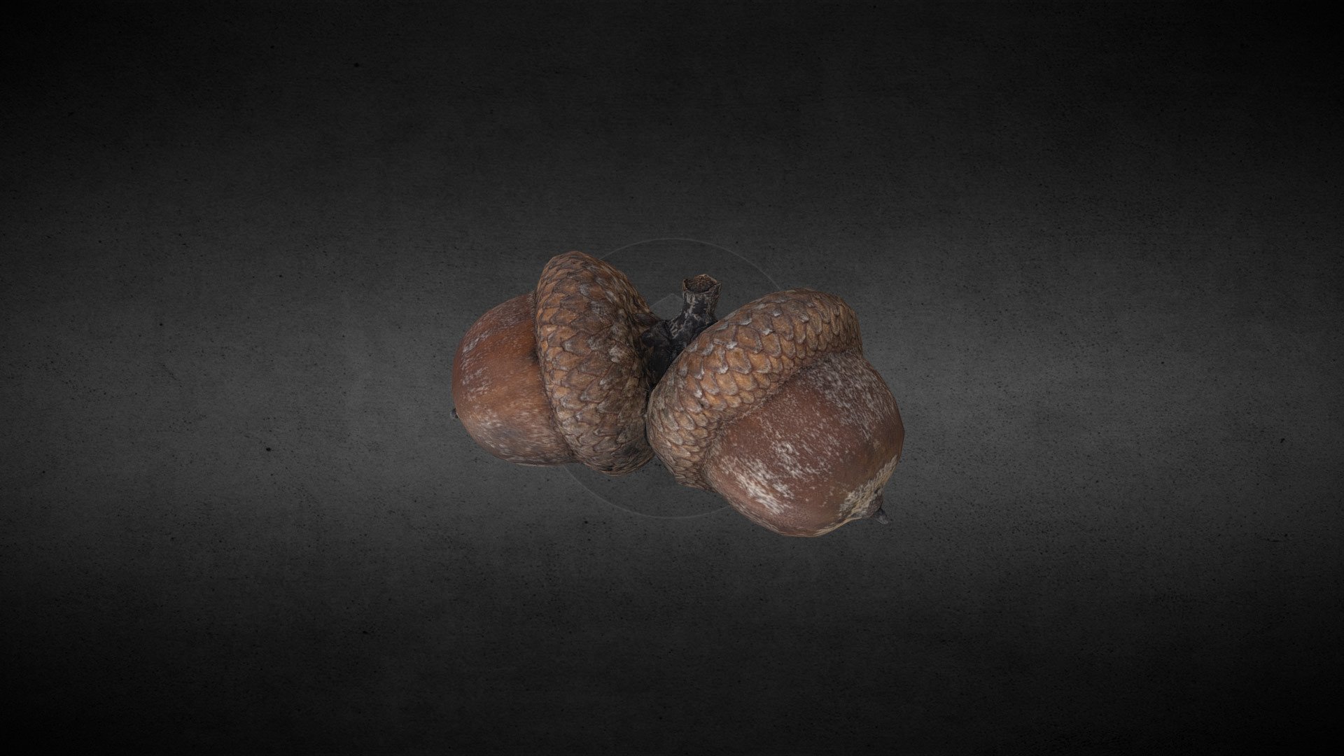 Acorn - 3D model by Zygomir.Fabricati.Diem (@ZygomirFabricatiDiem ...