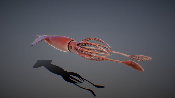 Underwater 3D models - Sketchfab