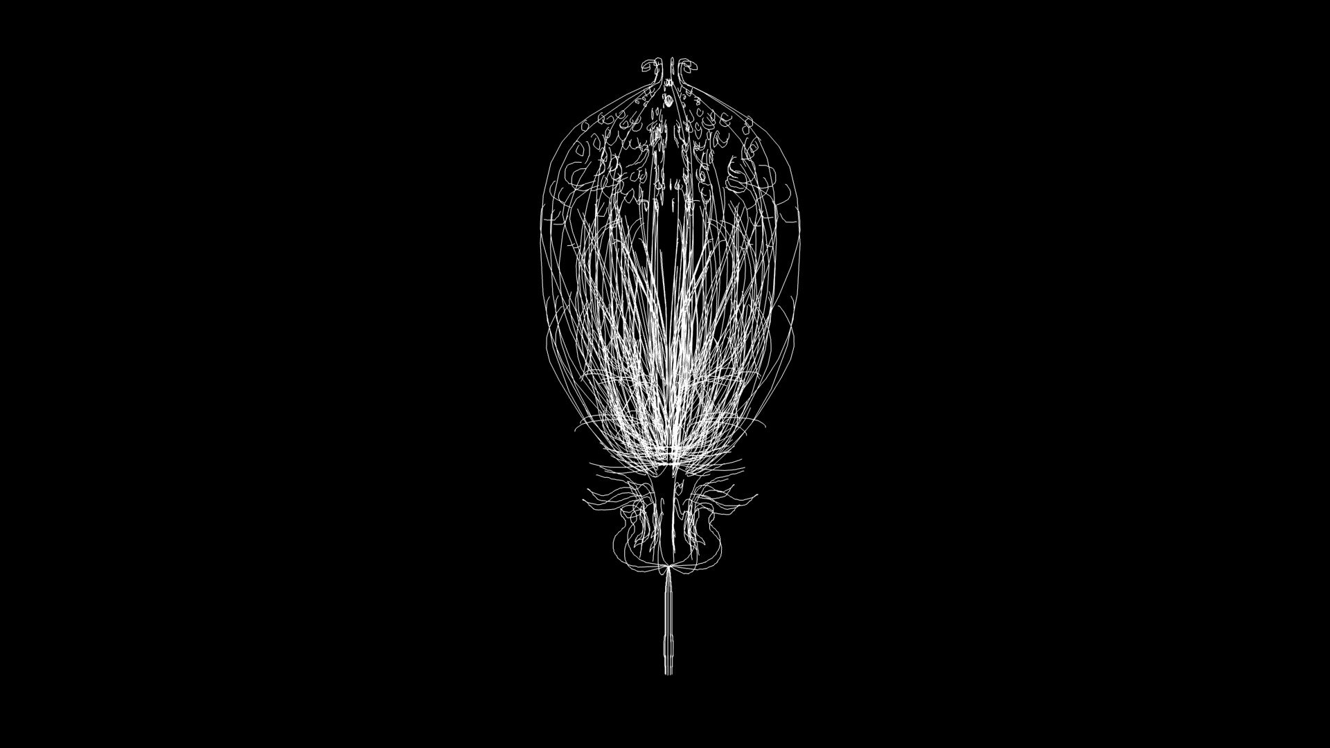 Drawing Test No.2 - Download Free 3D model by Imaginary Tools (@syno ...