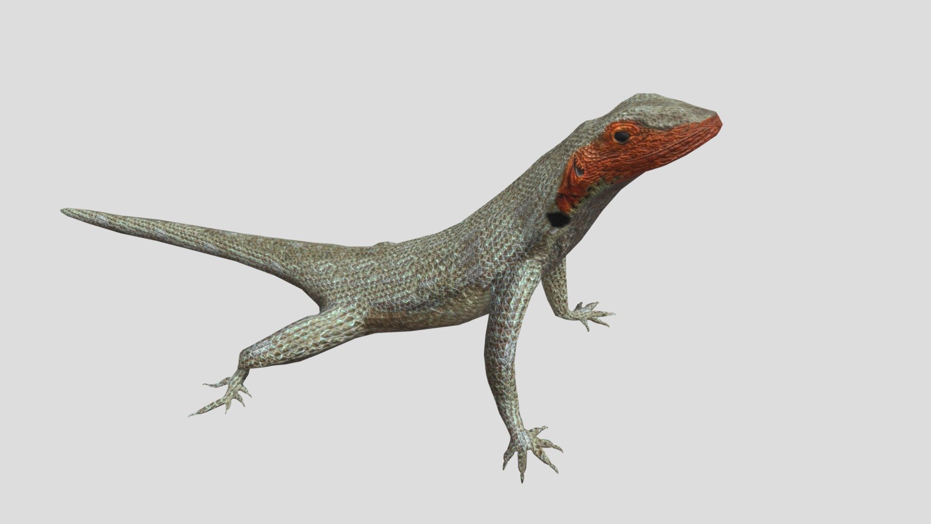 Lava Lizard - Buy Royalty Free 3D model by rmilushev [4c082fe ...