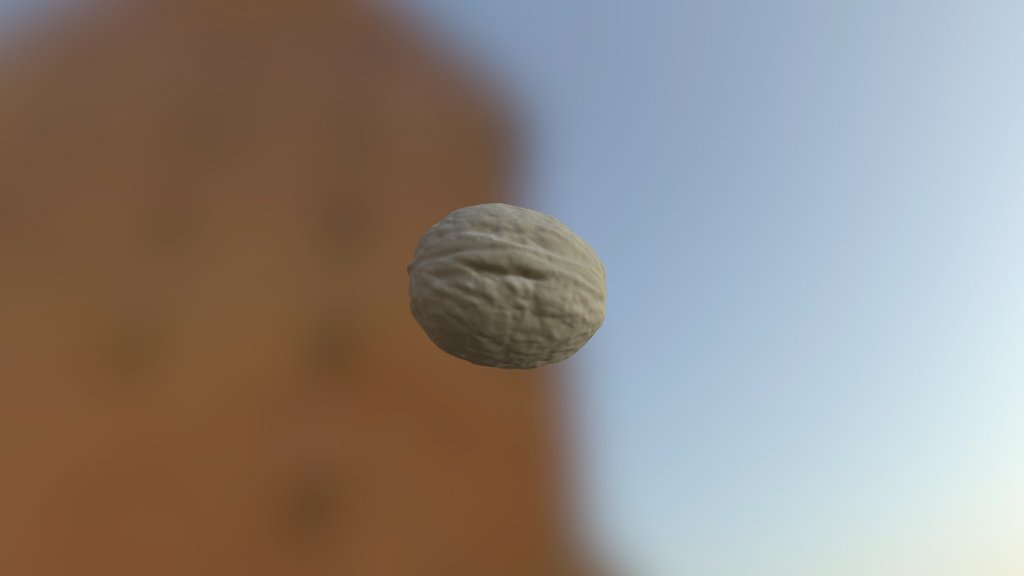 Walnut - 3D model by interspect [4c0aa48] - Sketchfab