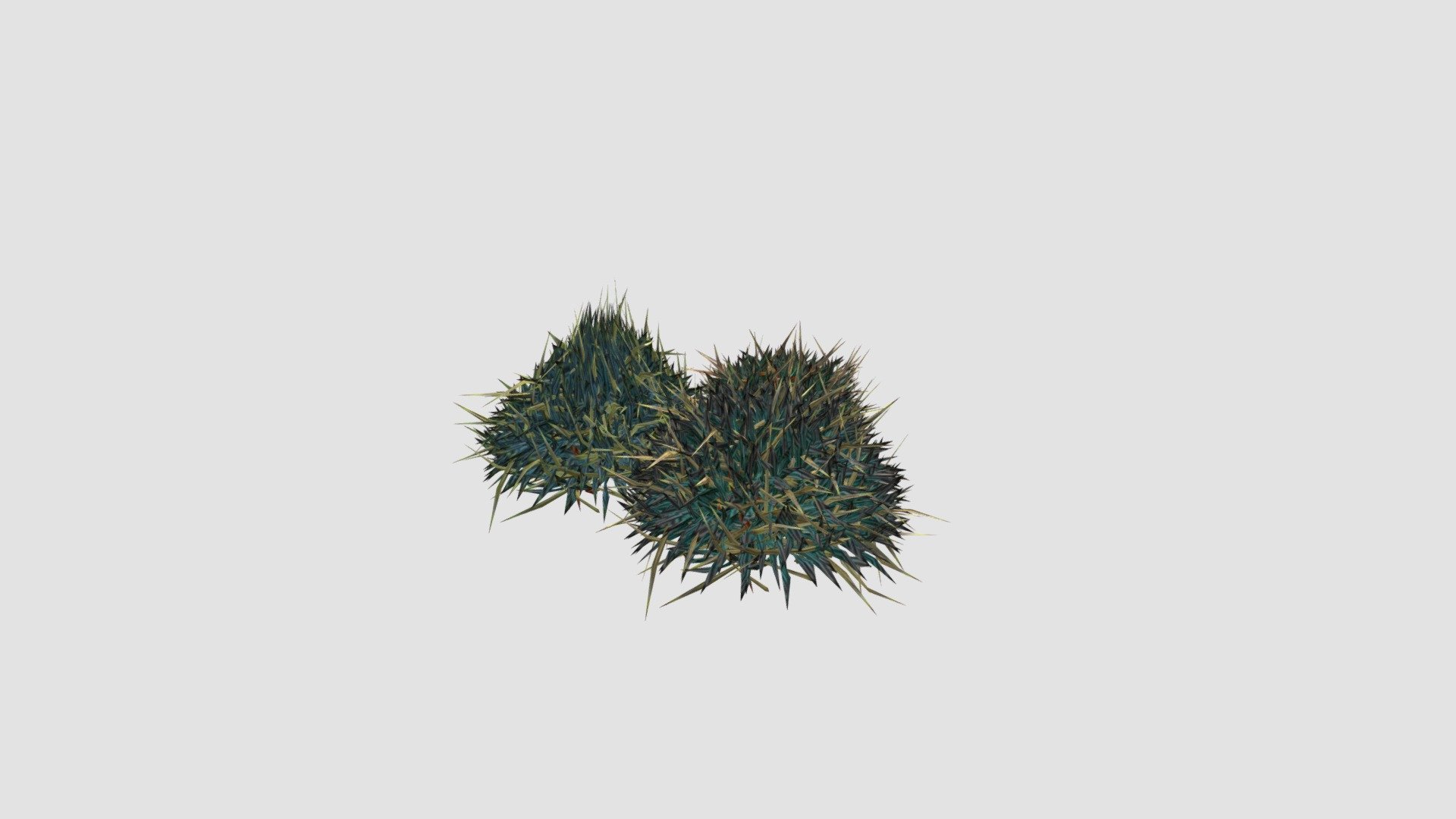 Decorative grass - Buy Royalty Free 3D model by Evermotion [4c10464 ...