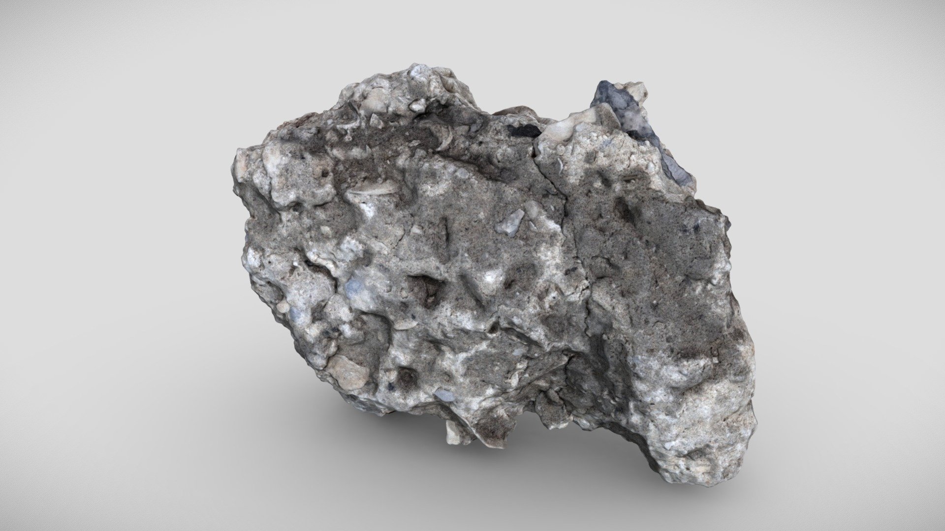 Tabby - Download Free 3D model by SCDNR-HTP [4c168aa] - Sketchfab