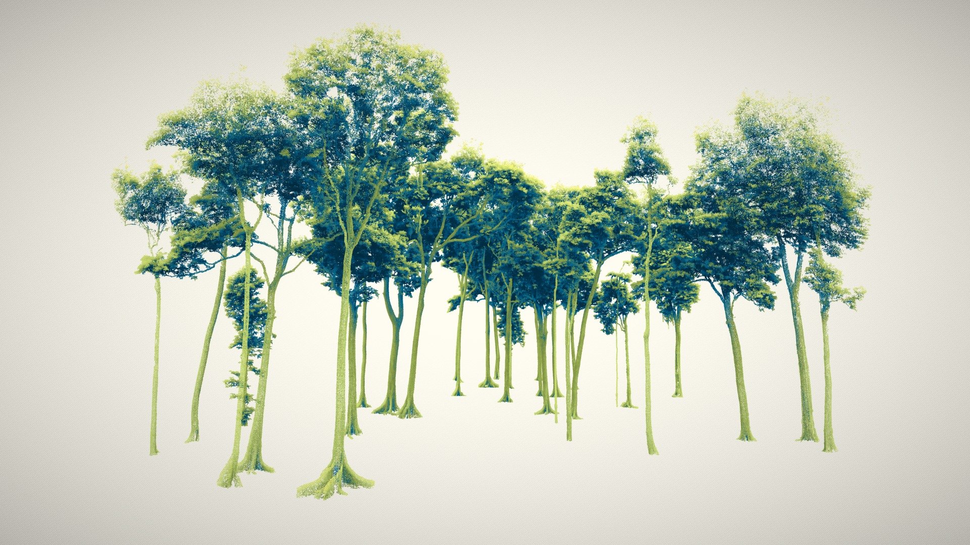 Oliver Creek, Australia - 3D model by Q-ForestLab (Ghent University) (@CAVElab_UGent) [4c1cfda ...