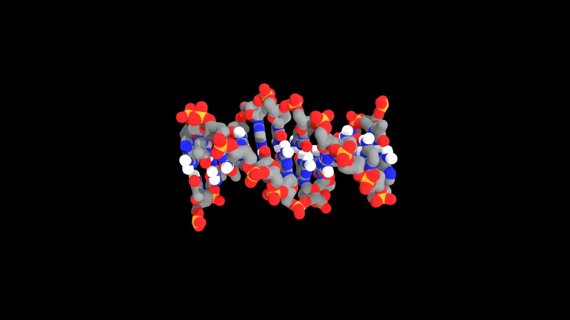 DNA - Short Helix - Download Free 3D model by lavnguyen [4c218d3 ...