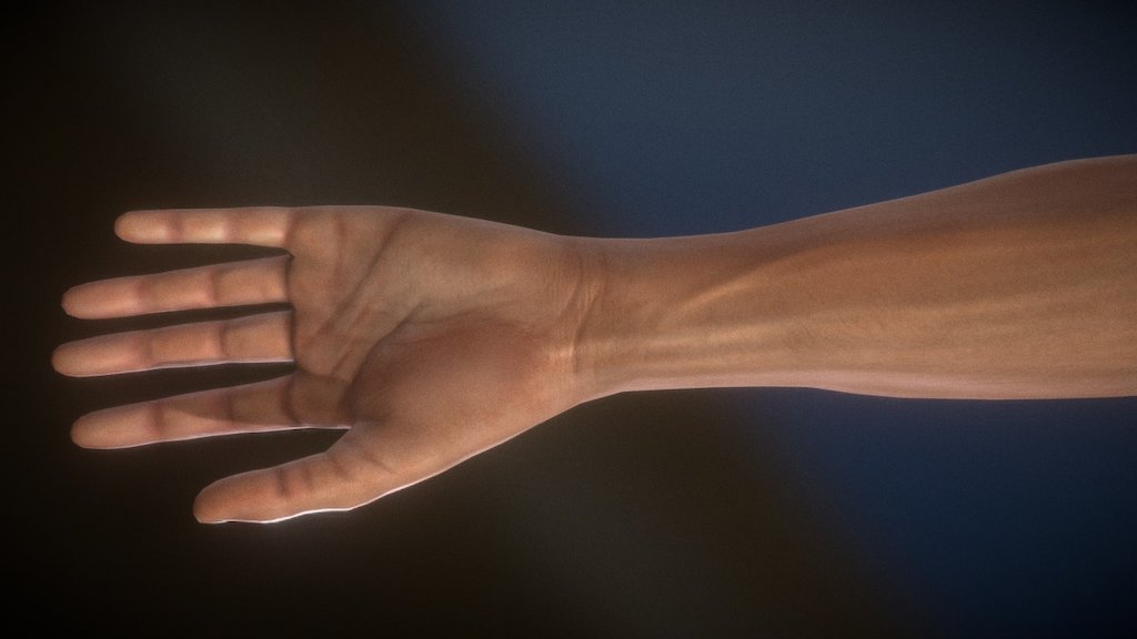 Arm Version 2 Texture Test - 3D model by 3DHaupt (@dennish2010 ...