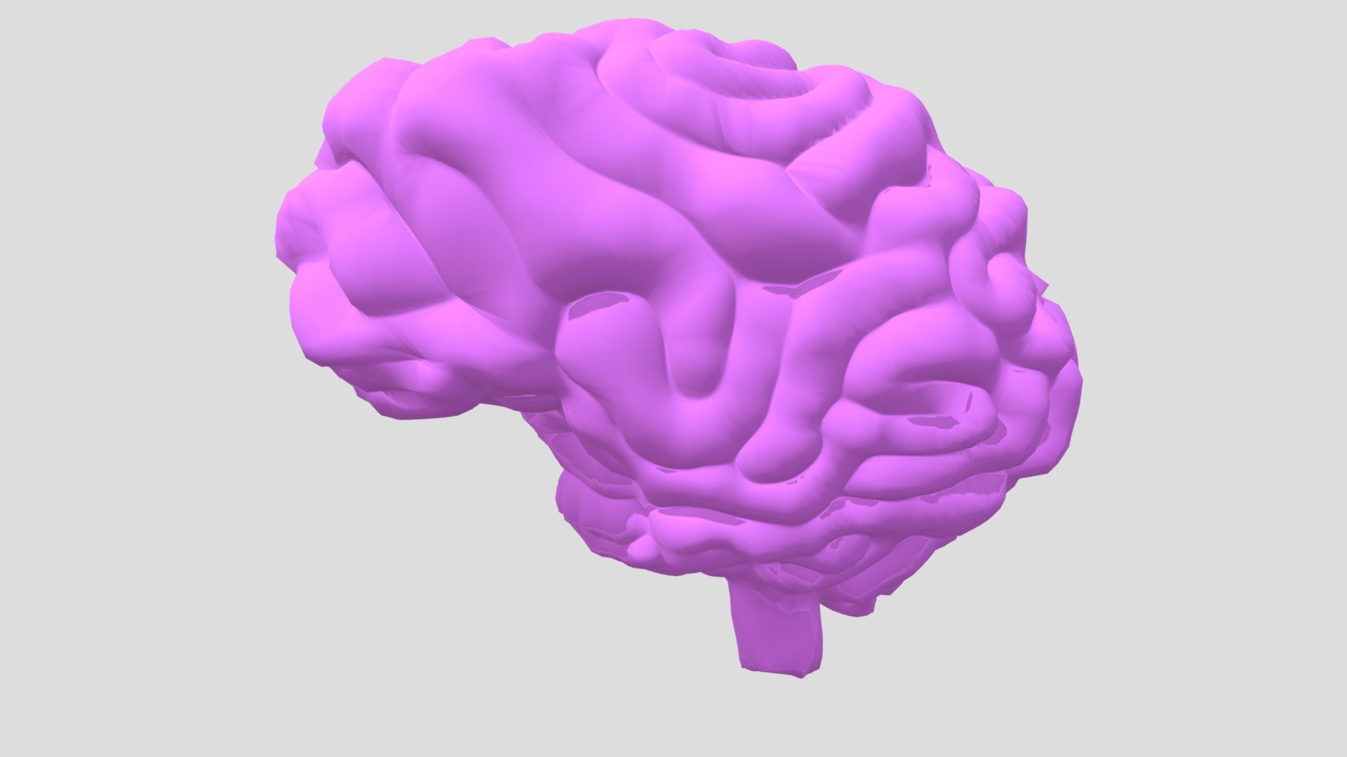 Brain - 3D model by tspirou [4c27f8b] - Sketchfab