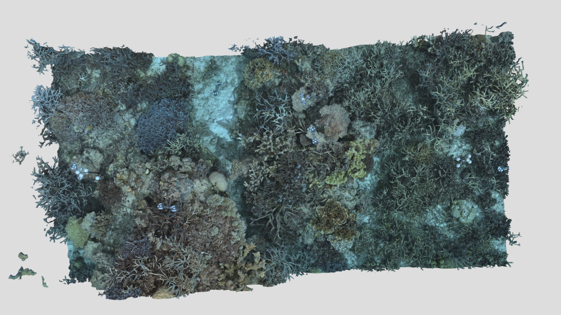 Davies_LA1S_P2_202301 - 3D model by EcoRRAP (@AIMSEcoRRAP) [4c2b361 ...