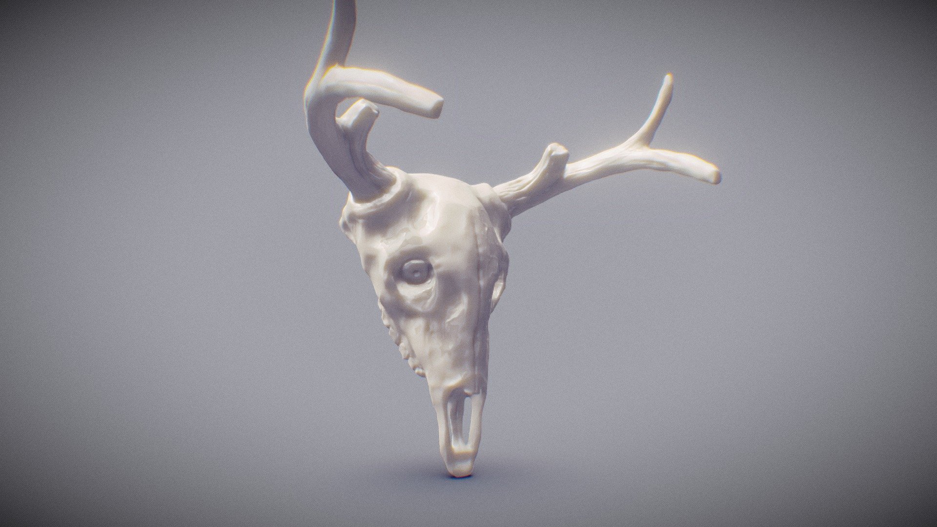 Ornated Deer Skull - 3D model by theWingedPlatypus [4c2e569] - Sketchfab