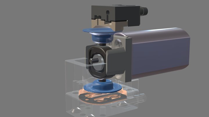 Diaphragm 3D models - Sketchfab
