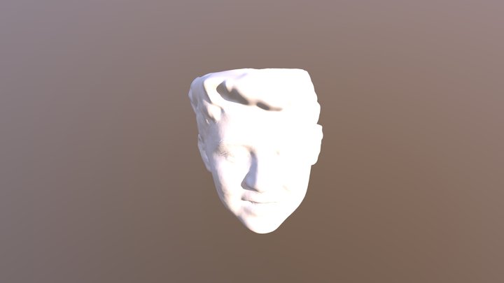 Face_mesh 3D models - Sketchfab