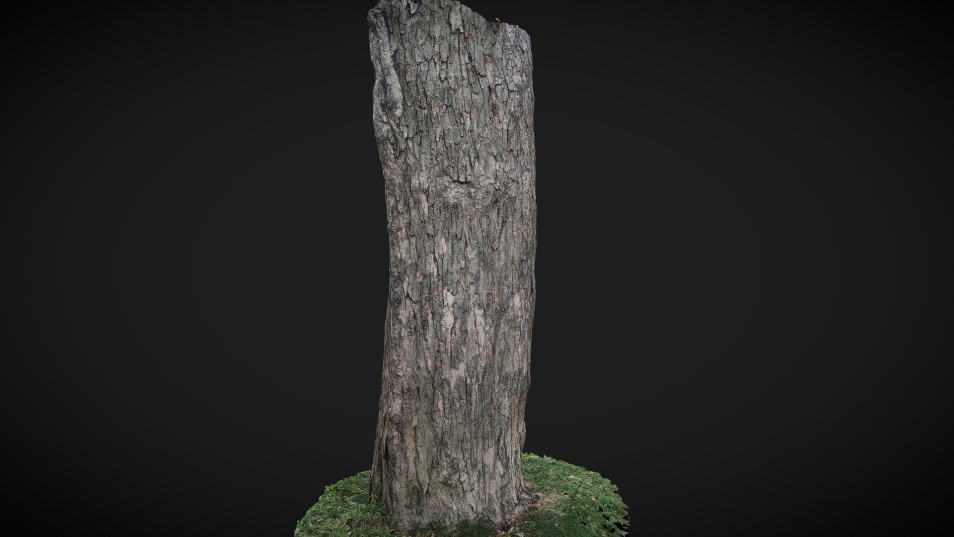 tree bark type 01 - Buy Royalty Free 3D model by 3D assets ...