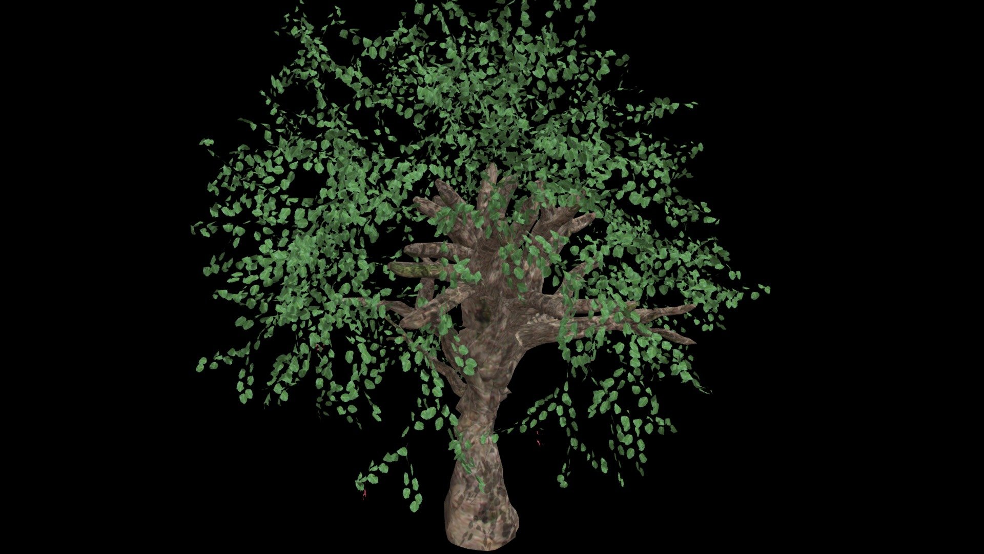 Peumo FInal - Download Free 3D model by koldarth [4c3fb05] - Sketchfab