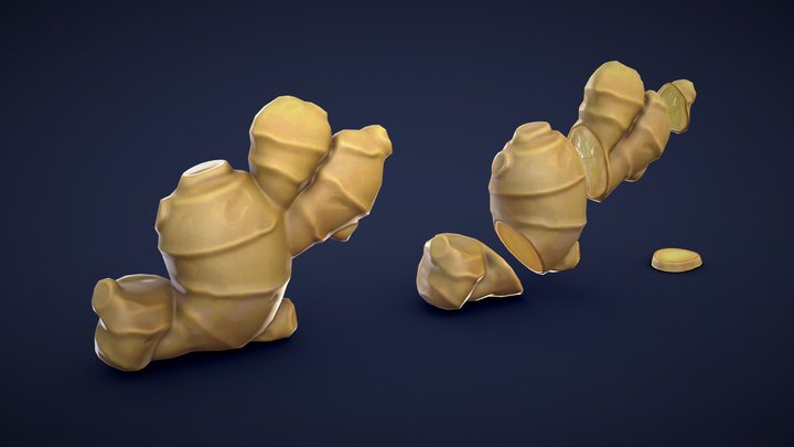 Roots 3D models - Sketchfab