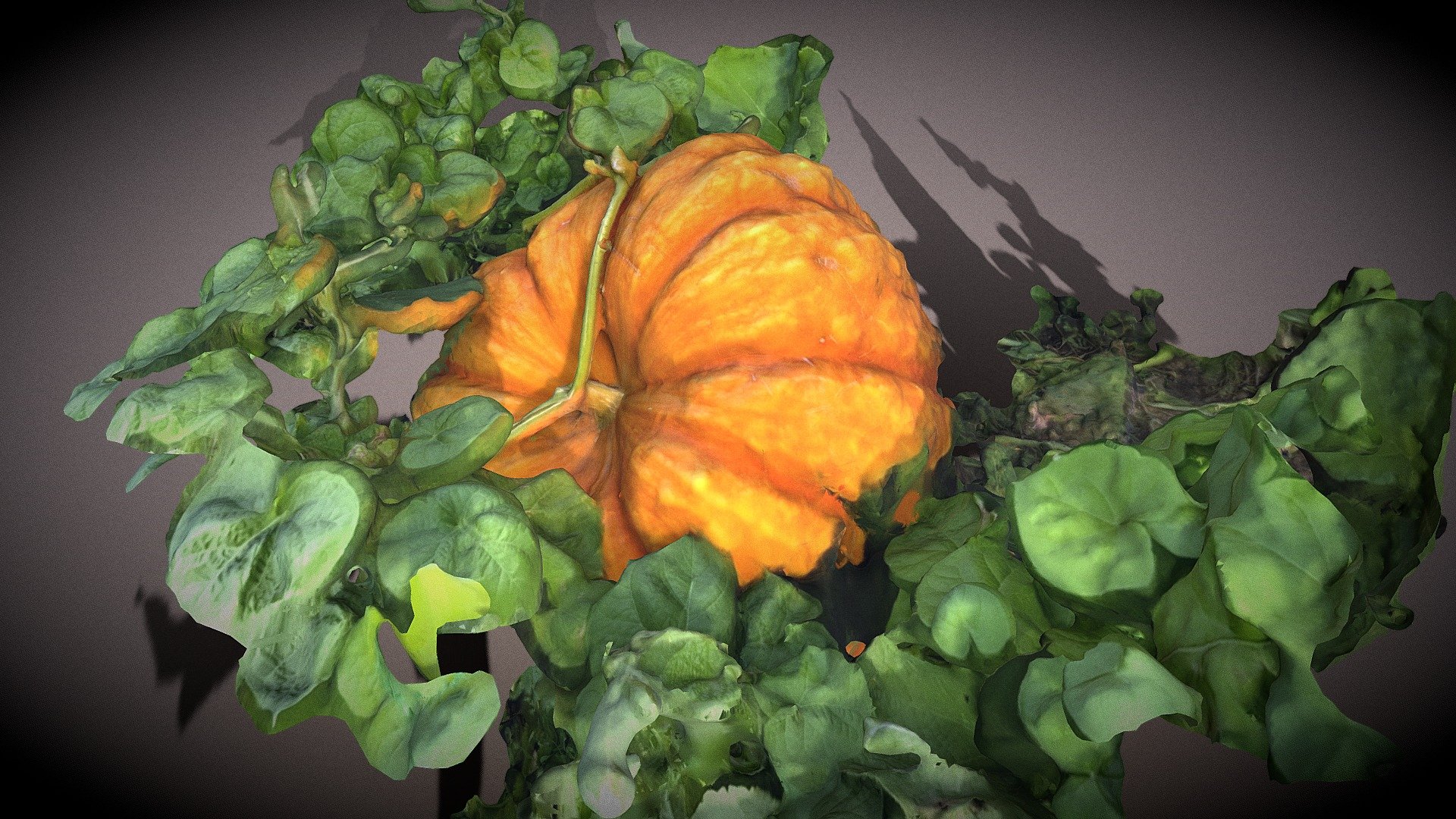 Pumpkin Model - 3D model by dronepros [4c4d3d6] - Sketchfab