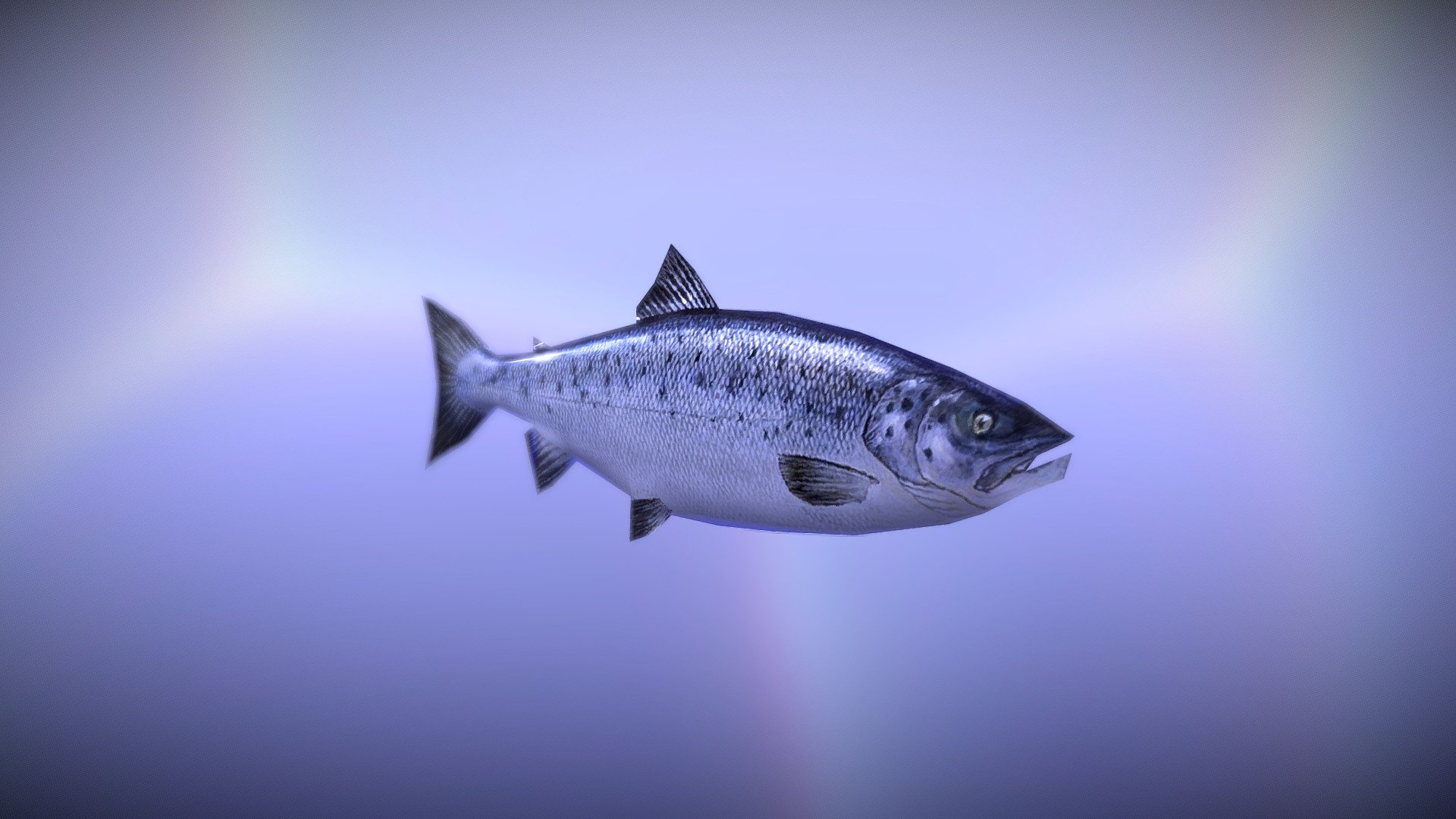 Salmon Lowpoly - Buy Royalty Free 3D model by tamminen [4c4f791 ...