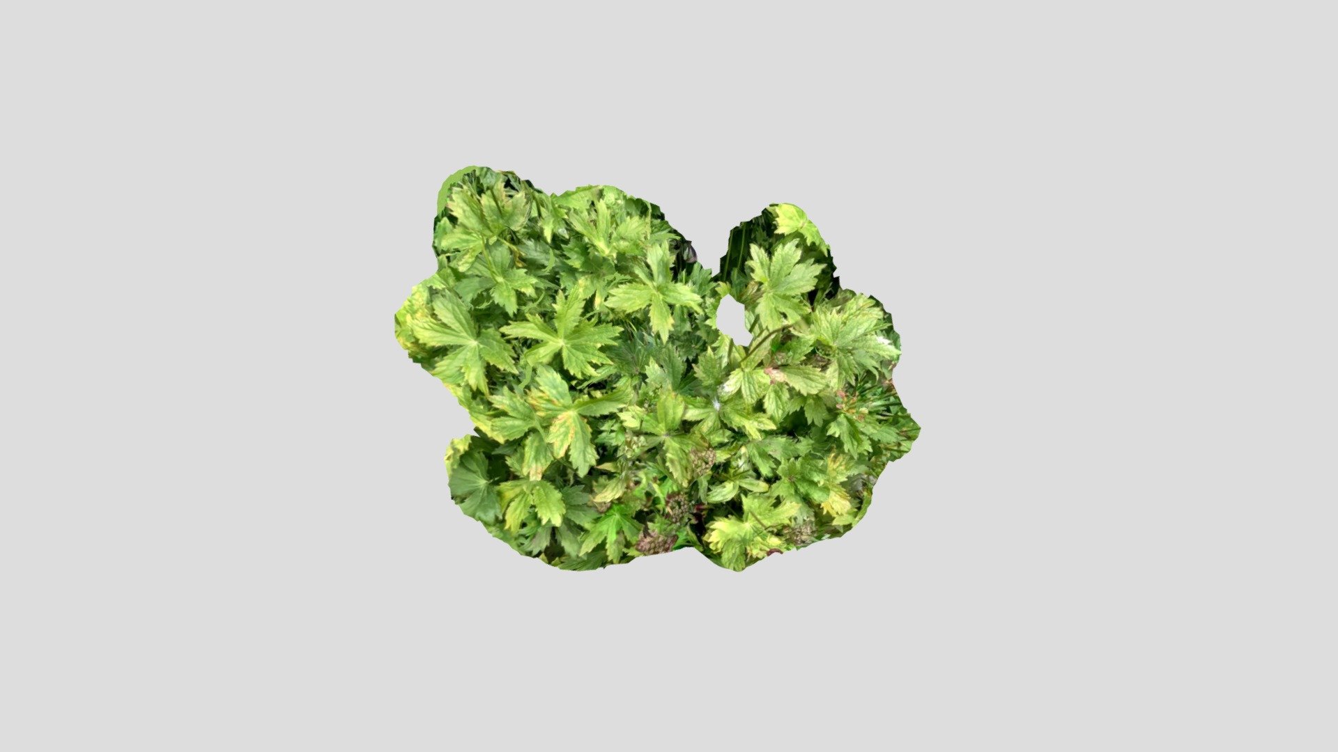 Terr.scan 2 - Download Free 3D model by shaniamcdonagh1 [4c55900 ...