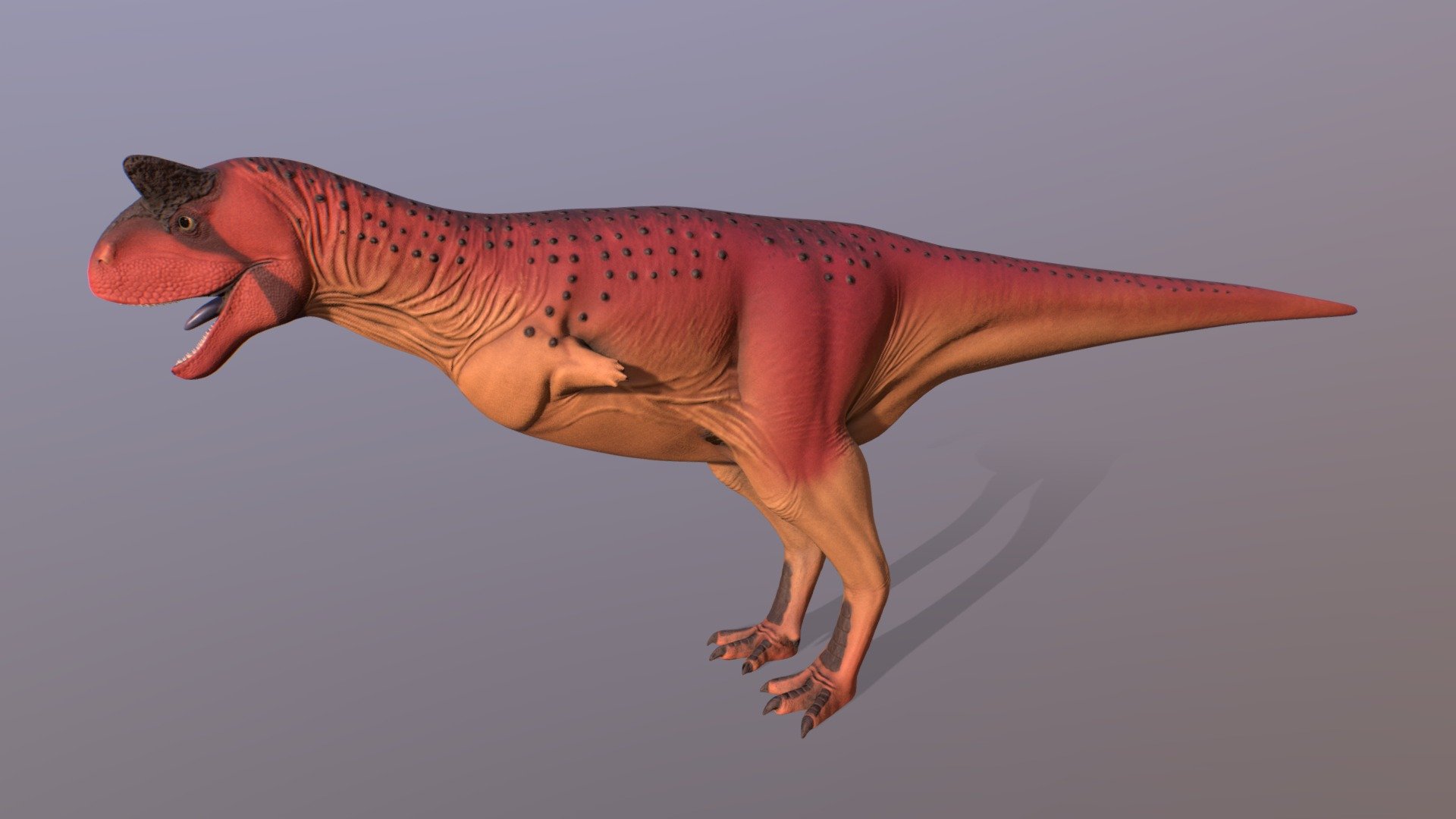 Carnotaurus v2 - 3D model by cafnir [4c57778] - Sketchfab