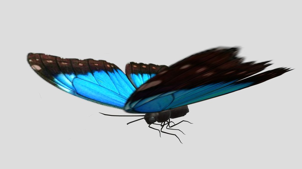 Pretty Assets - A 3D model collection by krislynmcdonough - Sketchfab