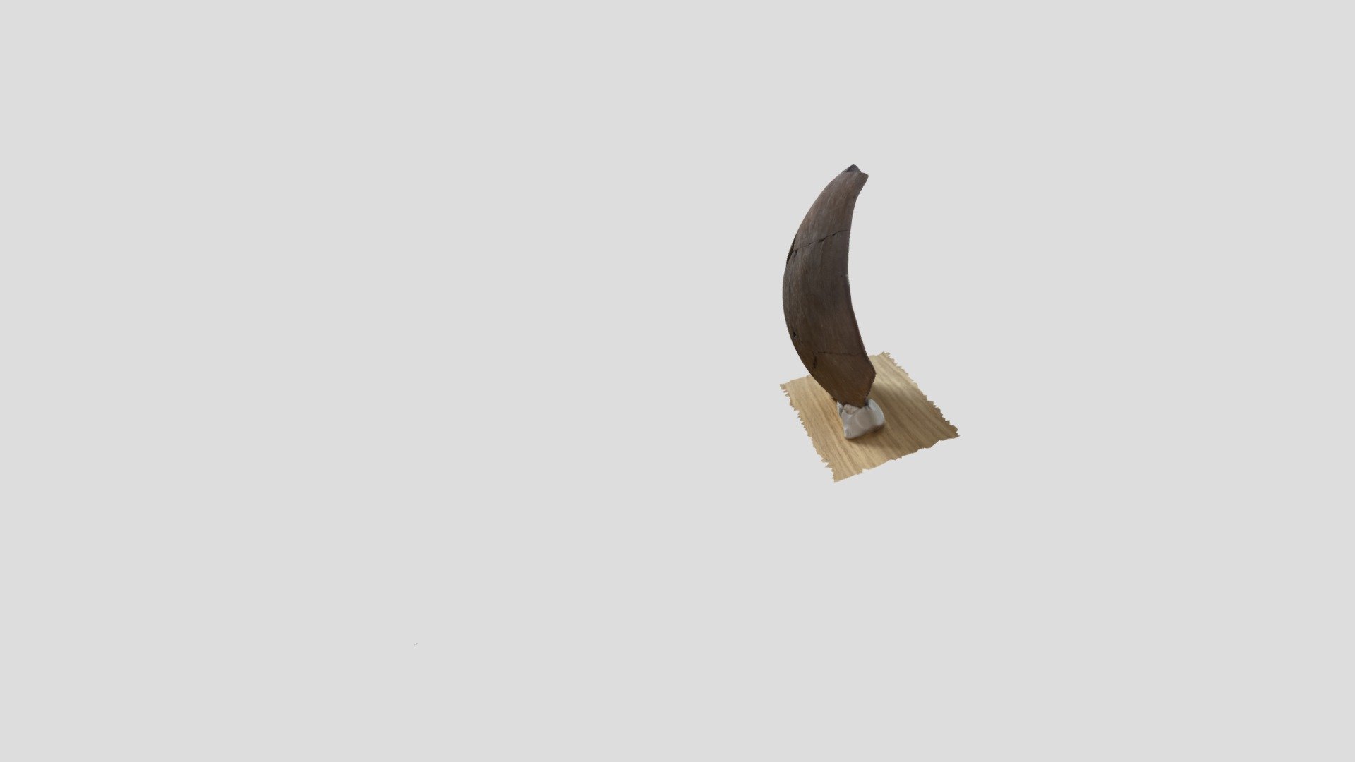 Pottery Sherd - 3D model by Lochness23 [4c6642e] - Sketchfab