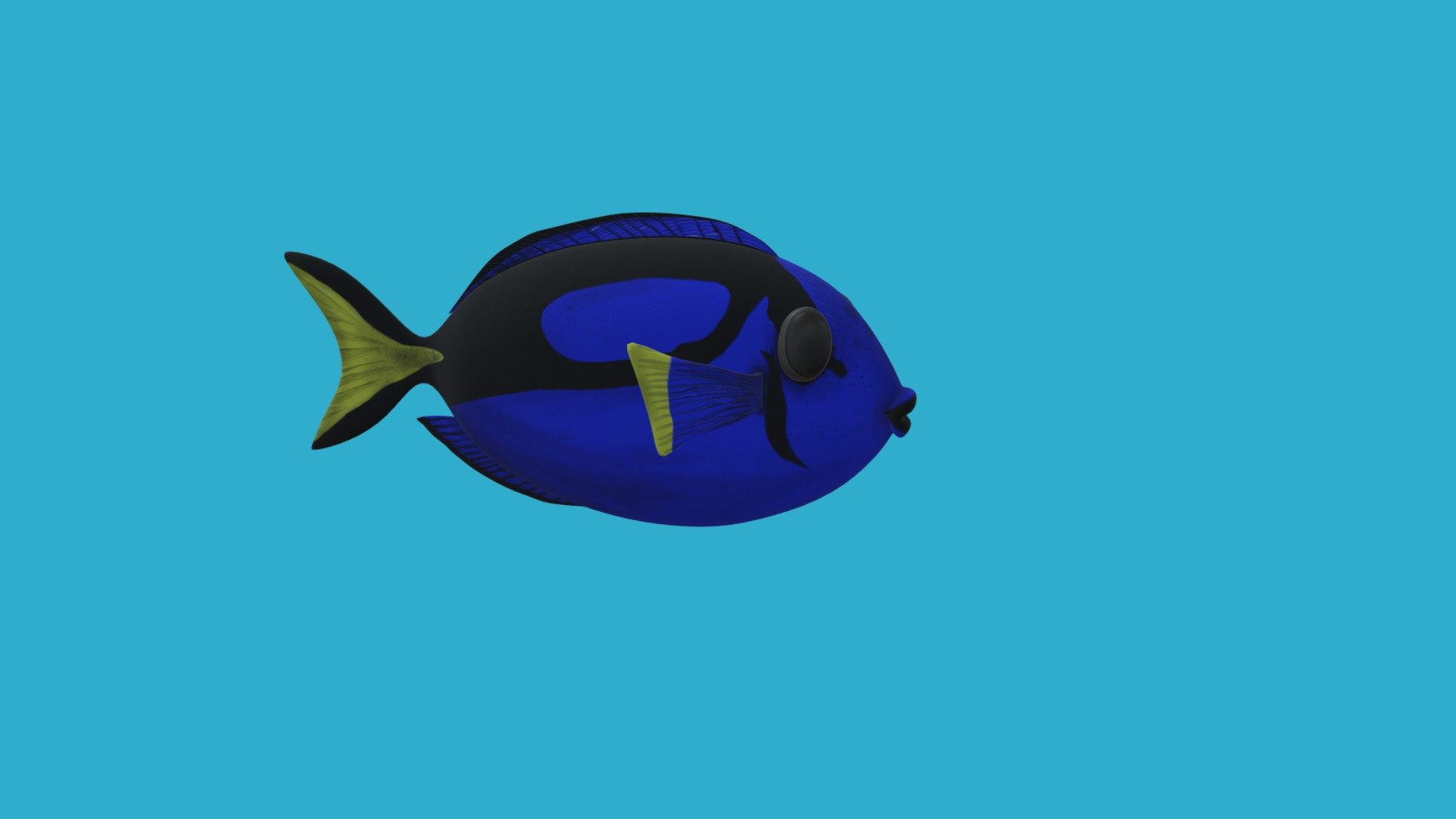 poisson - 3D model by Zackdo [4c6a52a] - Sketchfab