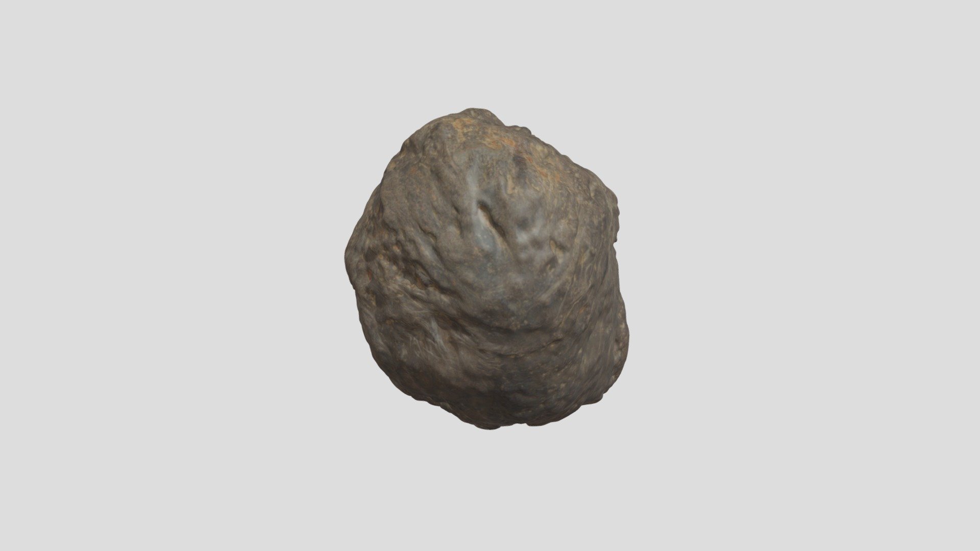 Mastodon Patella - 3D model by UIPaleoRepository [4c6be4f] - Sketchfab