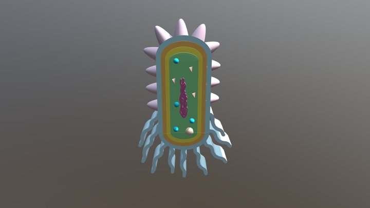 Procariota 3D models - Sketchfab