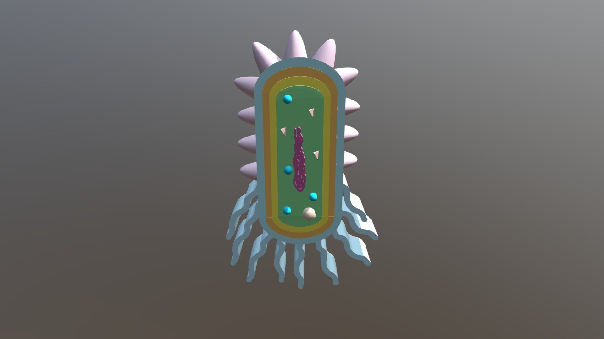 microughs_Salmonella_AR/PG/PR - 3D model by arosadod.2019 [4c6bea7 ...