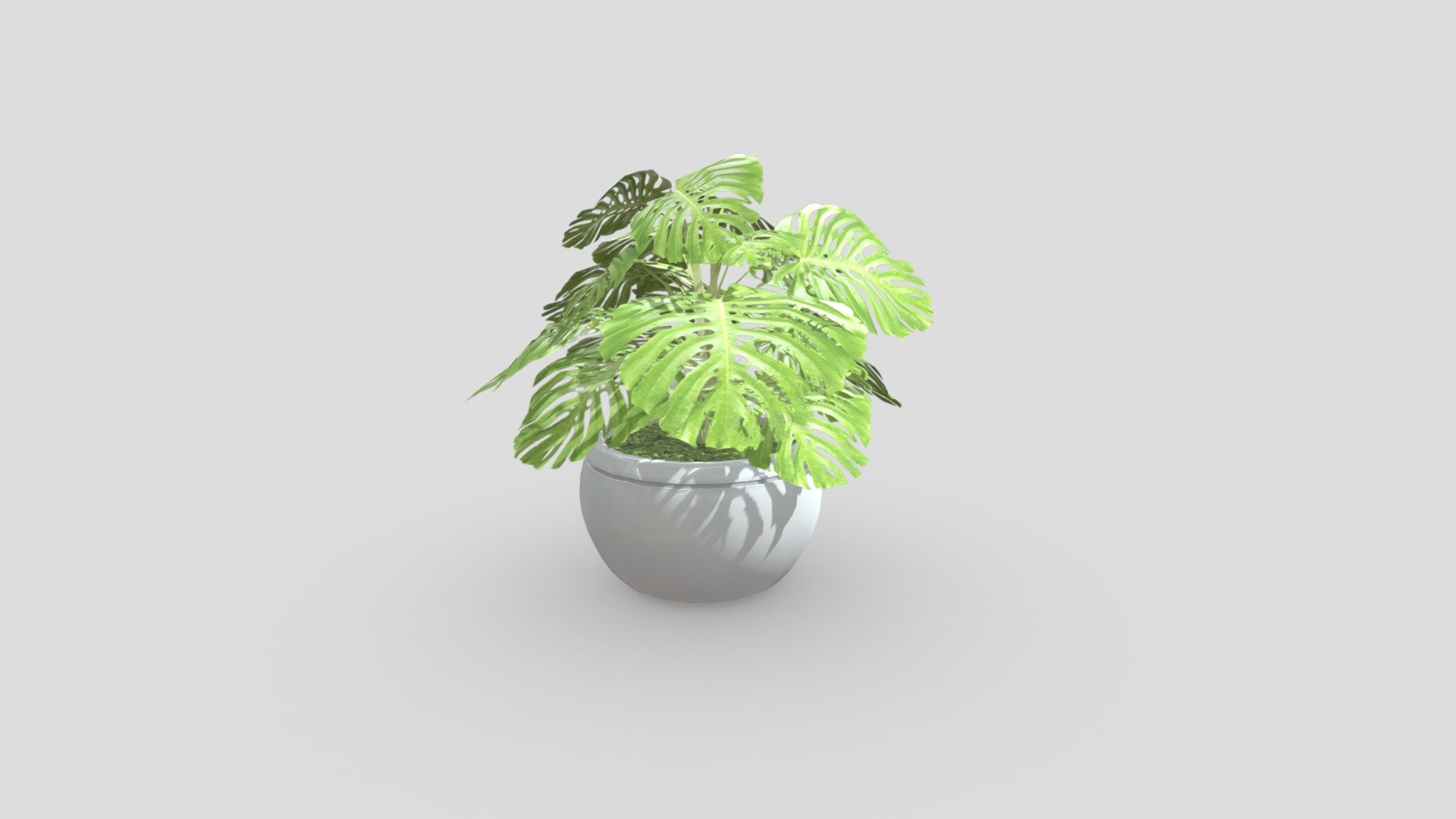 SIMPLE PLANT - Download Free 3D model by Blizzy (@jeffbas) [4c6da30 ...