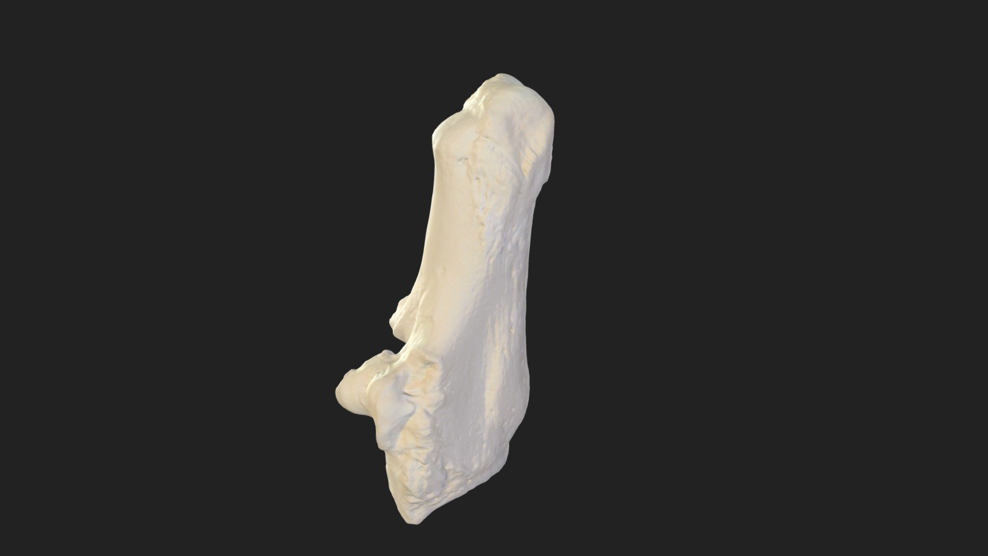 heel bone (calcaneus) pig - 3D model by vetanatMunich [4c70c09] - Sketchfab
