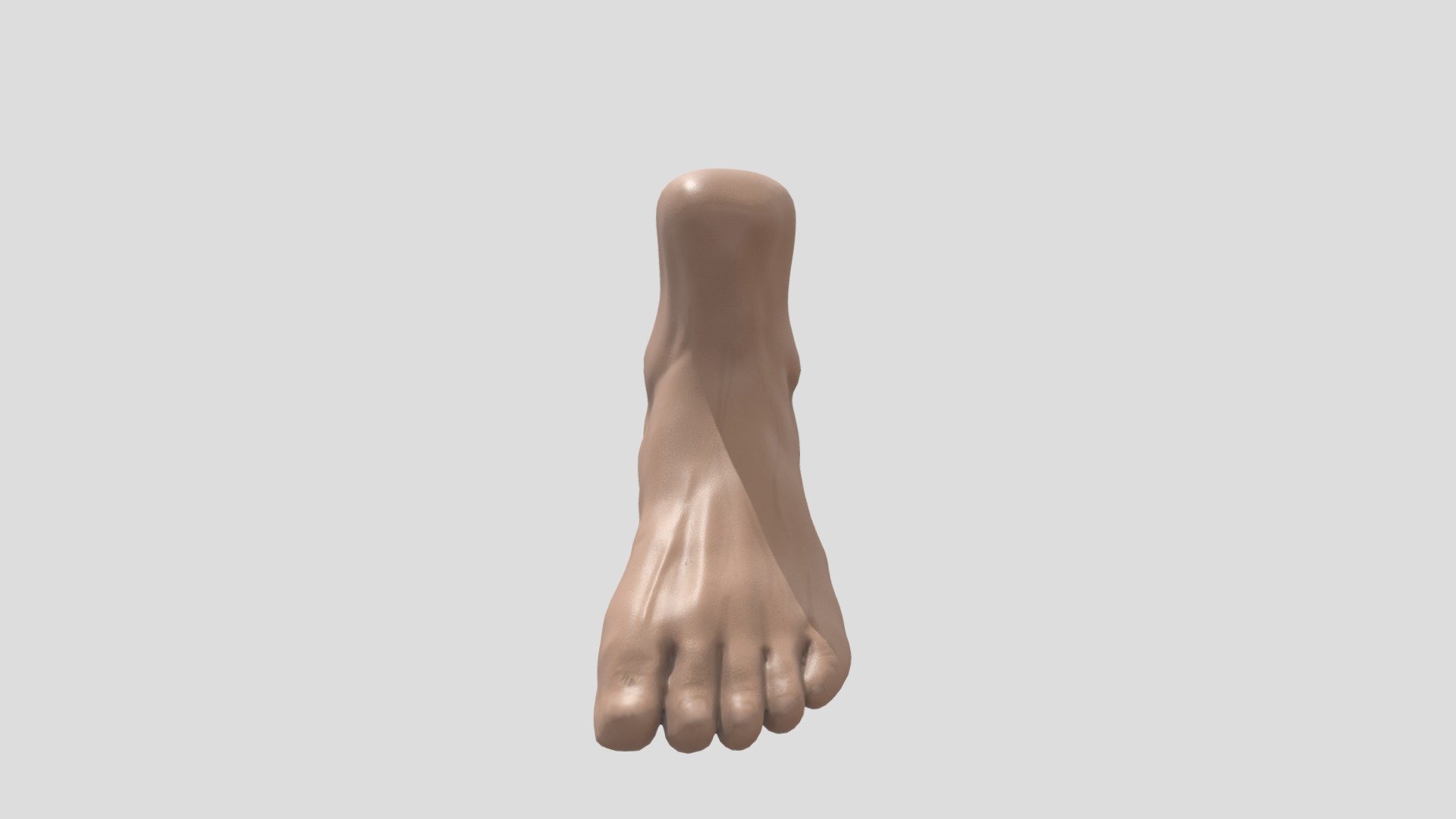 Foot Model - 3D model by Mika (@amieka) [4c76594] - Sketchfab