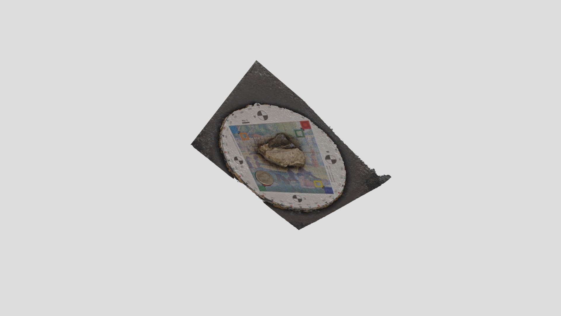 Campodus Teeth - Download Free 3D model by Max Christie (@mchristie09 ...