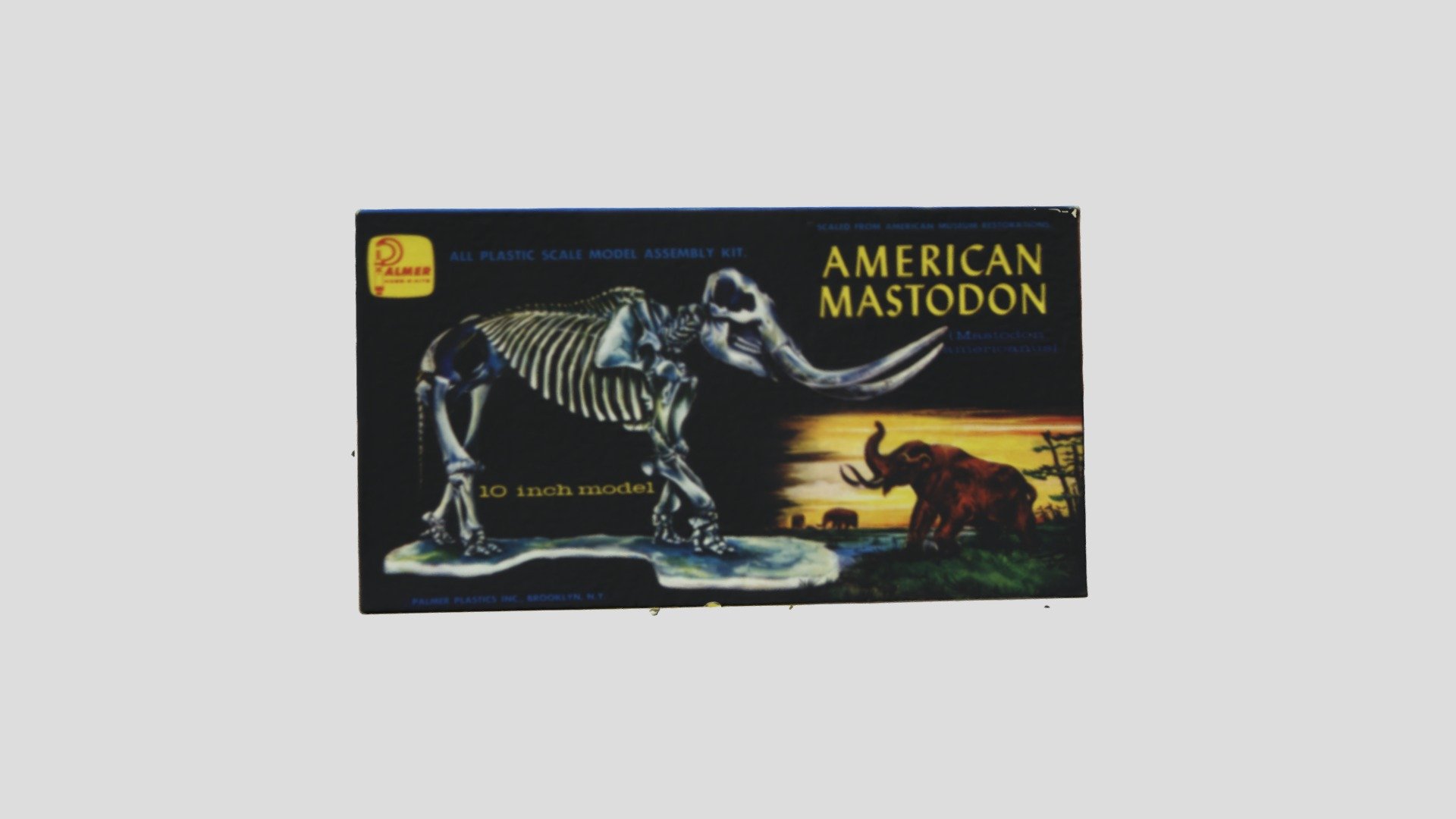 Palmer Mastodon Model Box Top (VCU_3D_5557) - 3D model by Virtual ...