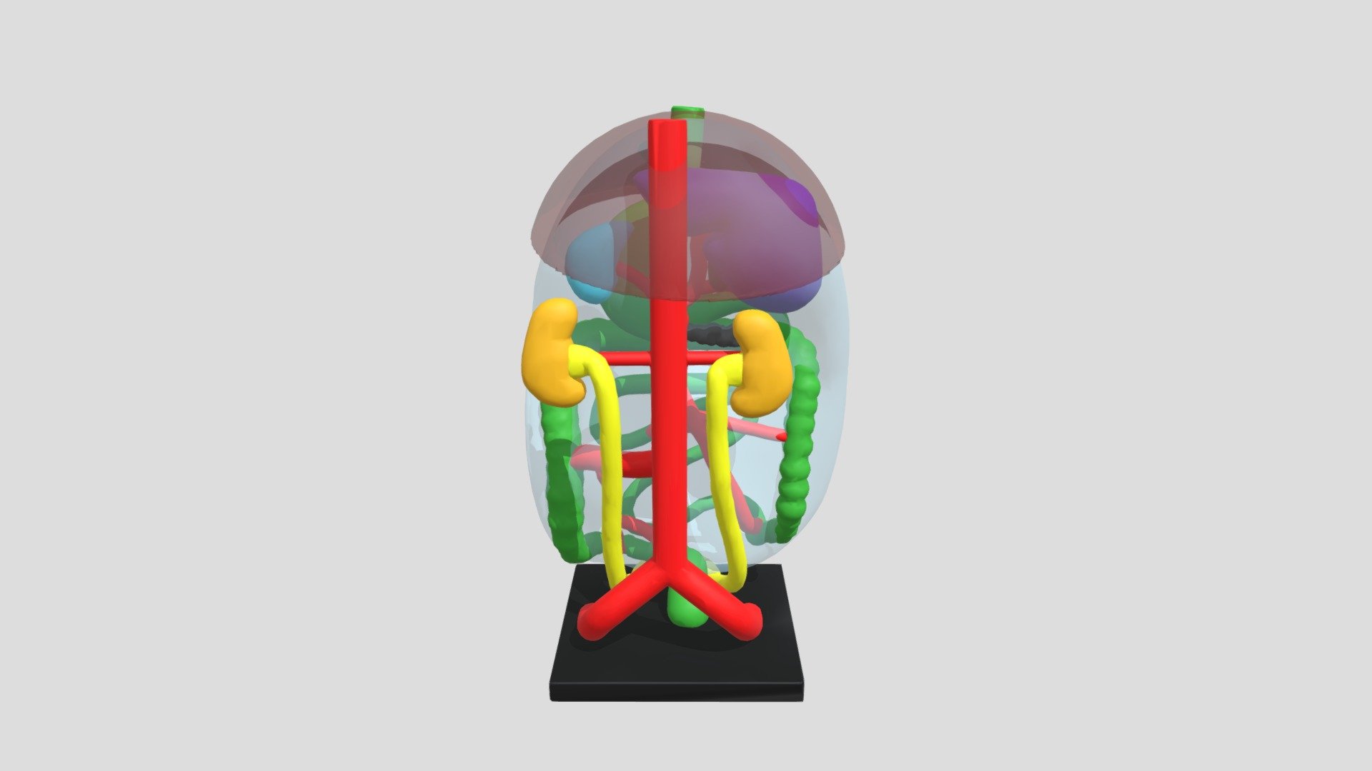 gi print diaphragm color layers2 - 3D model by scalpel [4c7f093 ...