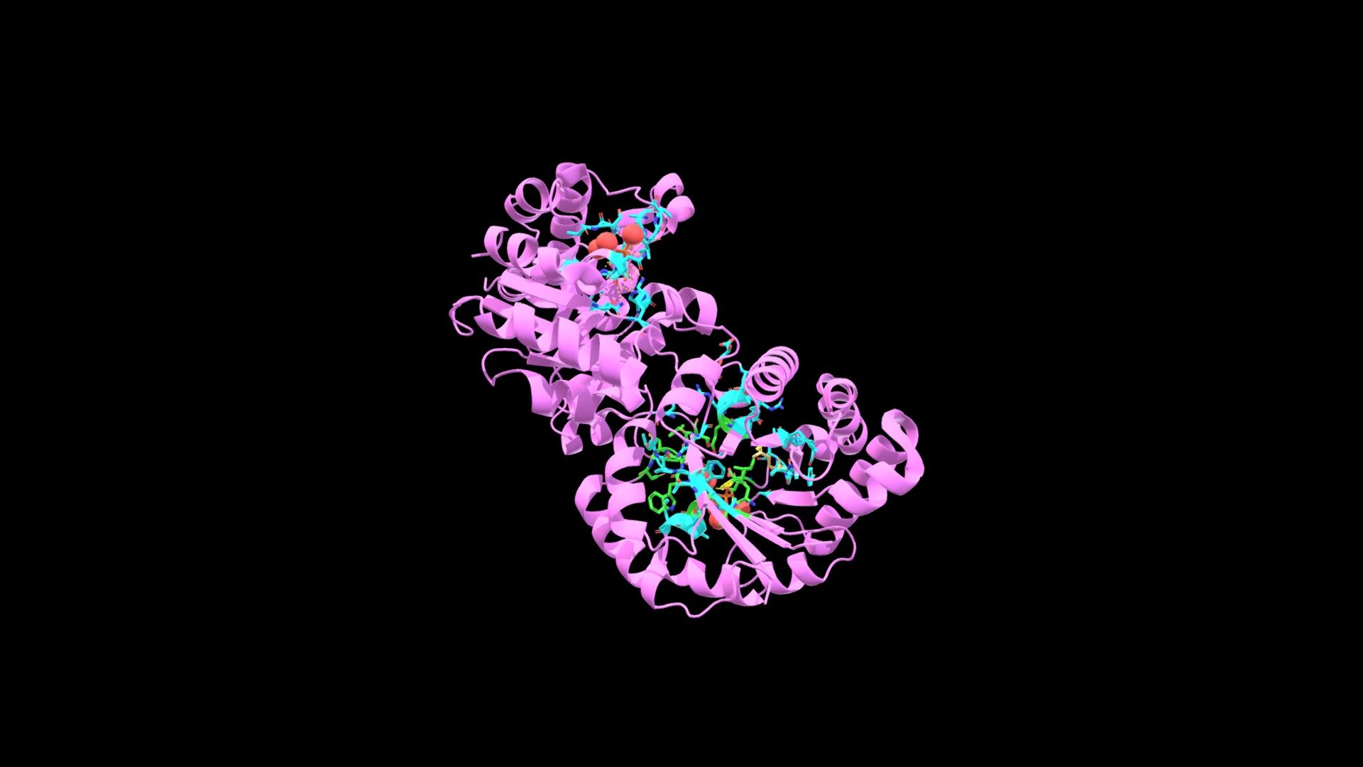 Triosephosphate Isomerase - WT-3PG Malaria - 3D model by jessica.tripe ...