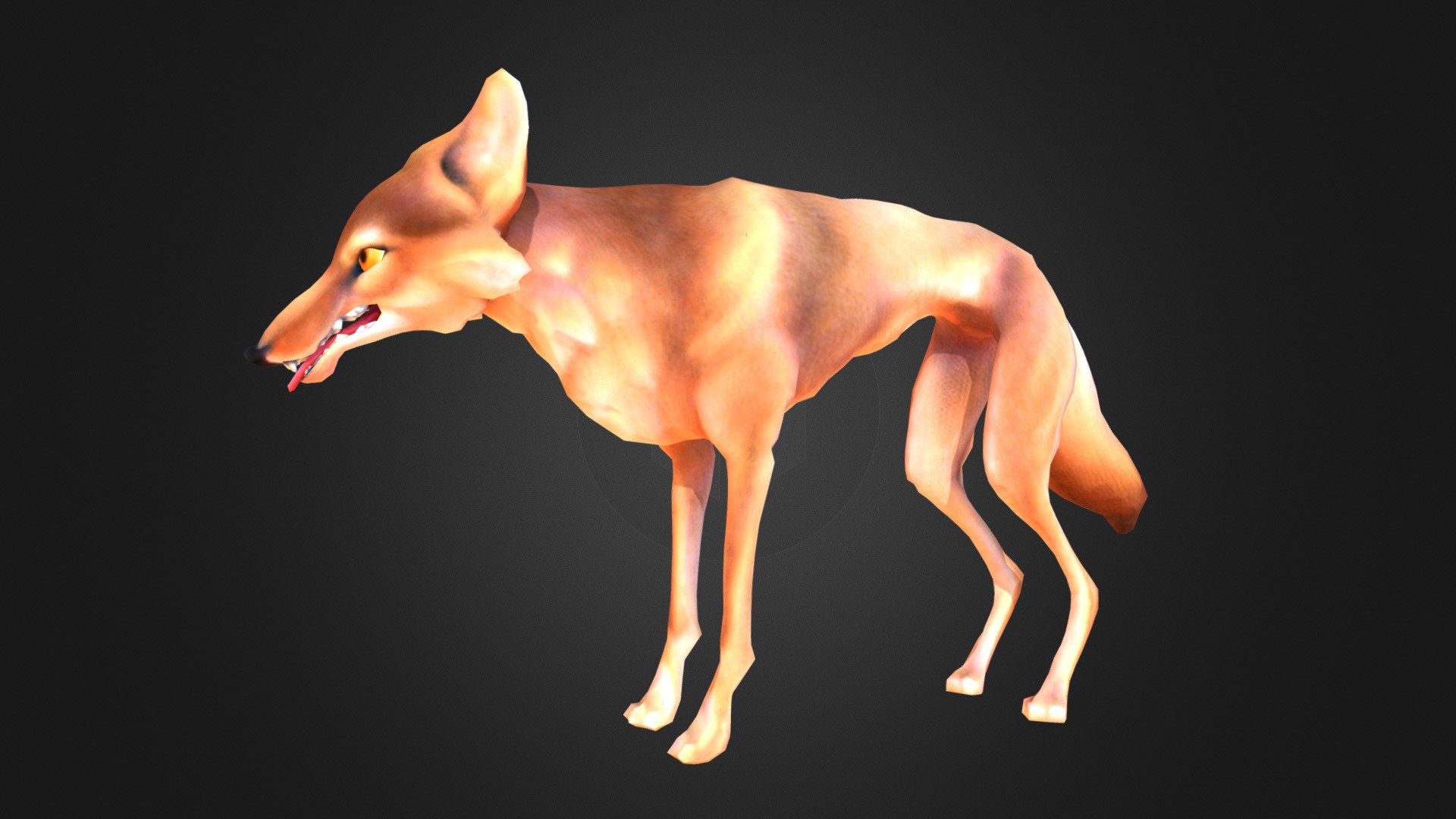 Coyote - 3D model by paoletti.lc [4c855d5] - Sketchfab