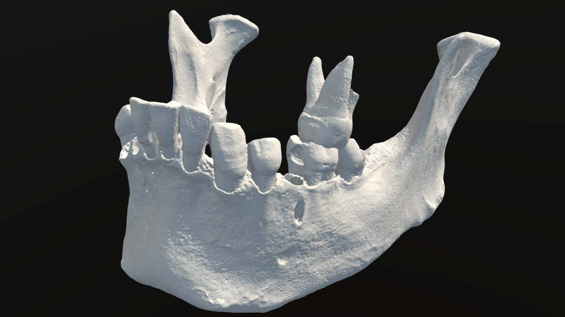 Lower jaw Artec Micro - 3D model by 3dscanservice [4c98c5d] - Sketchfab