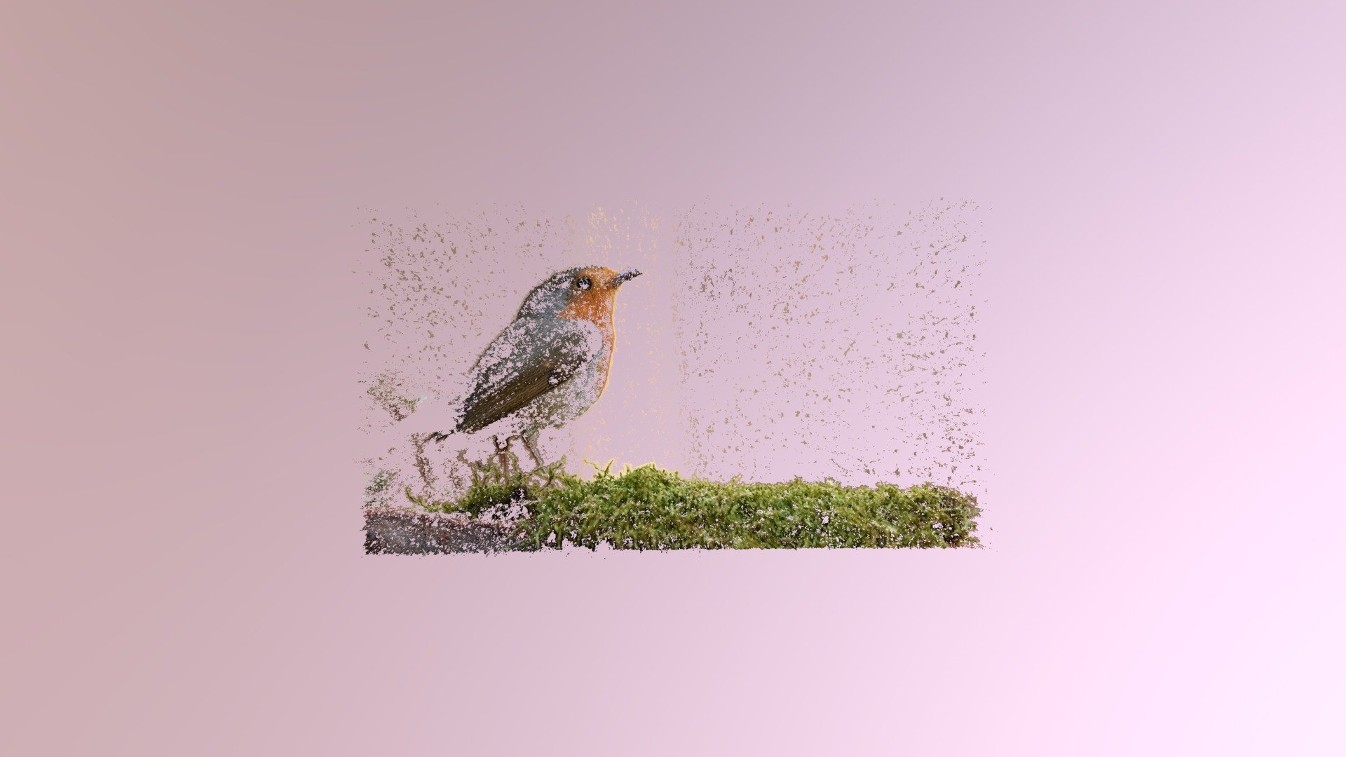 Robin - 3D model by dxre [4c99f4c] - Sketchfab