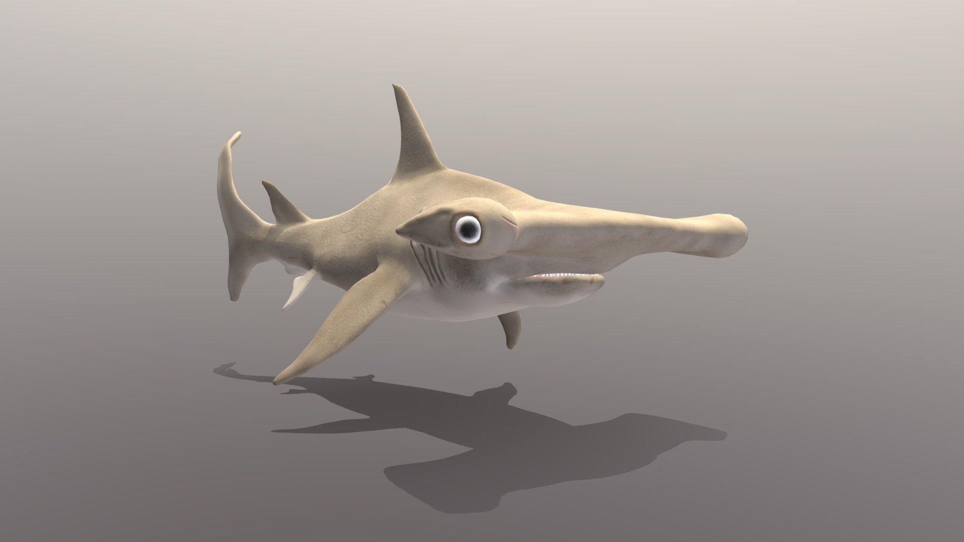 hammerhead shark - Buy Royalty Free 3D model by 3DAnvil [4c9ea3c ...