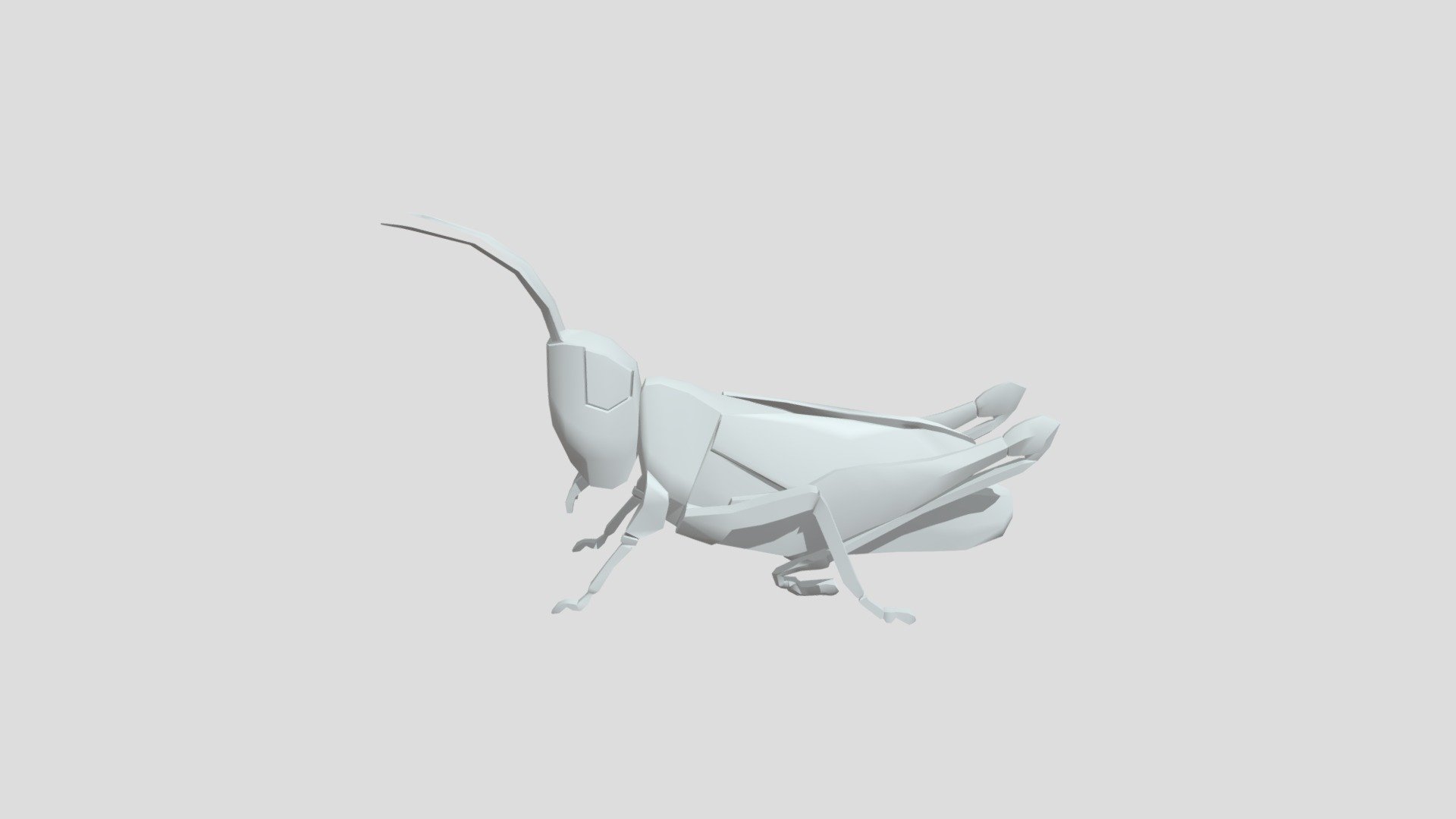 Basic Cricket - Download Free 3D model by Scy.Heidekamp [4ca488a ...