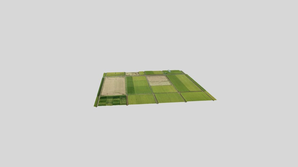 3D model of Paddy field - 3D model by hama [4ca612b] - Sketchfab