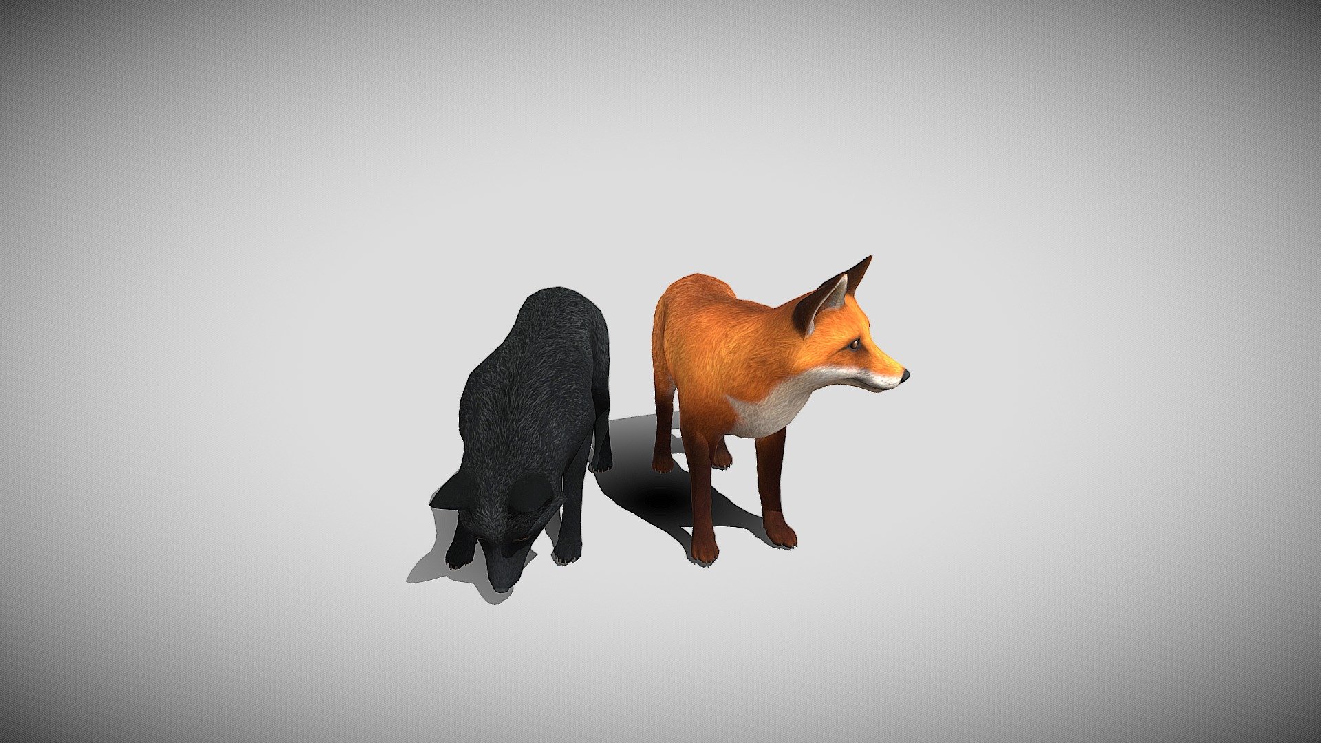 fox - 3D model by sss (@dungvo1.2804) [4ca7d02] - Sketchfab