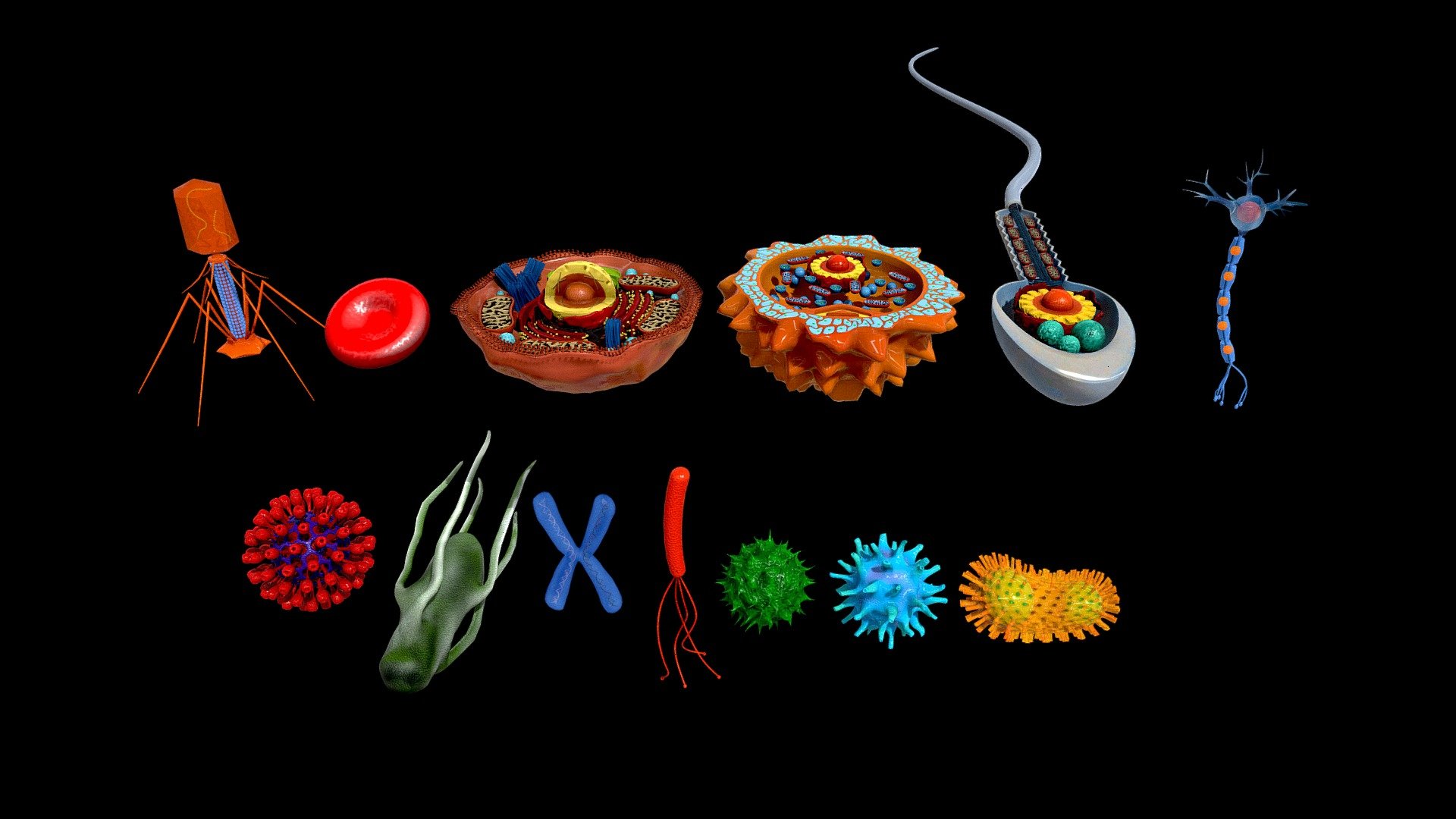 3D microscopic collection - Buy Royalty Free 3D model by arloopa ...