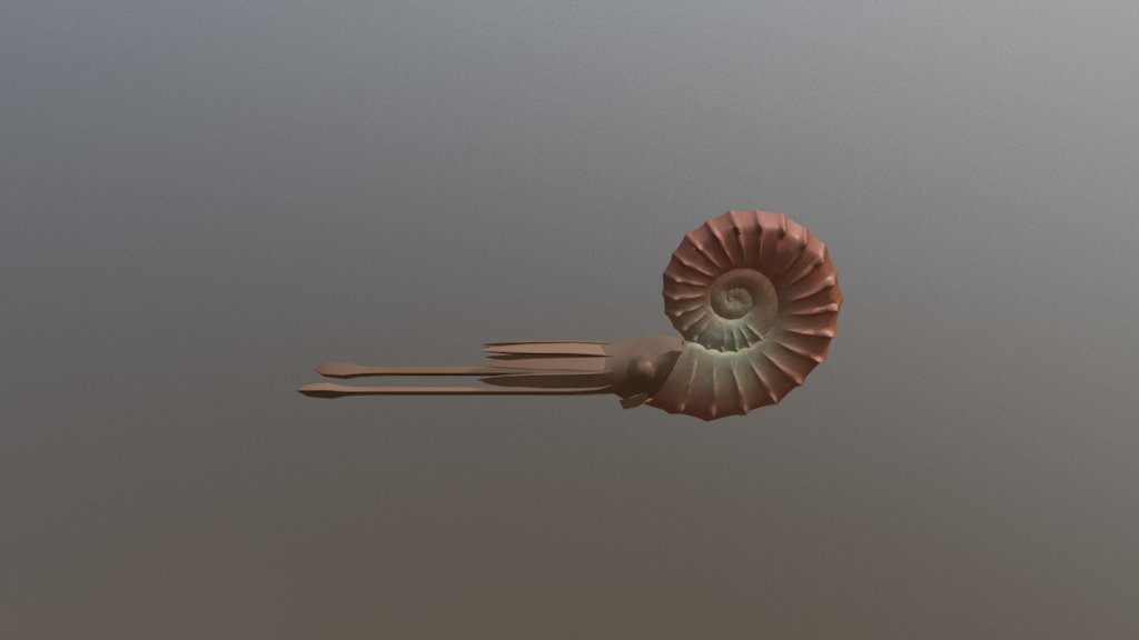 Ammonite (3) - 3D model by marieammonite [4cad800] - Sketchfab