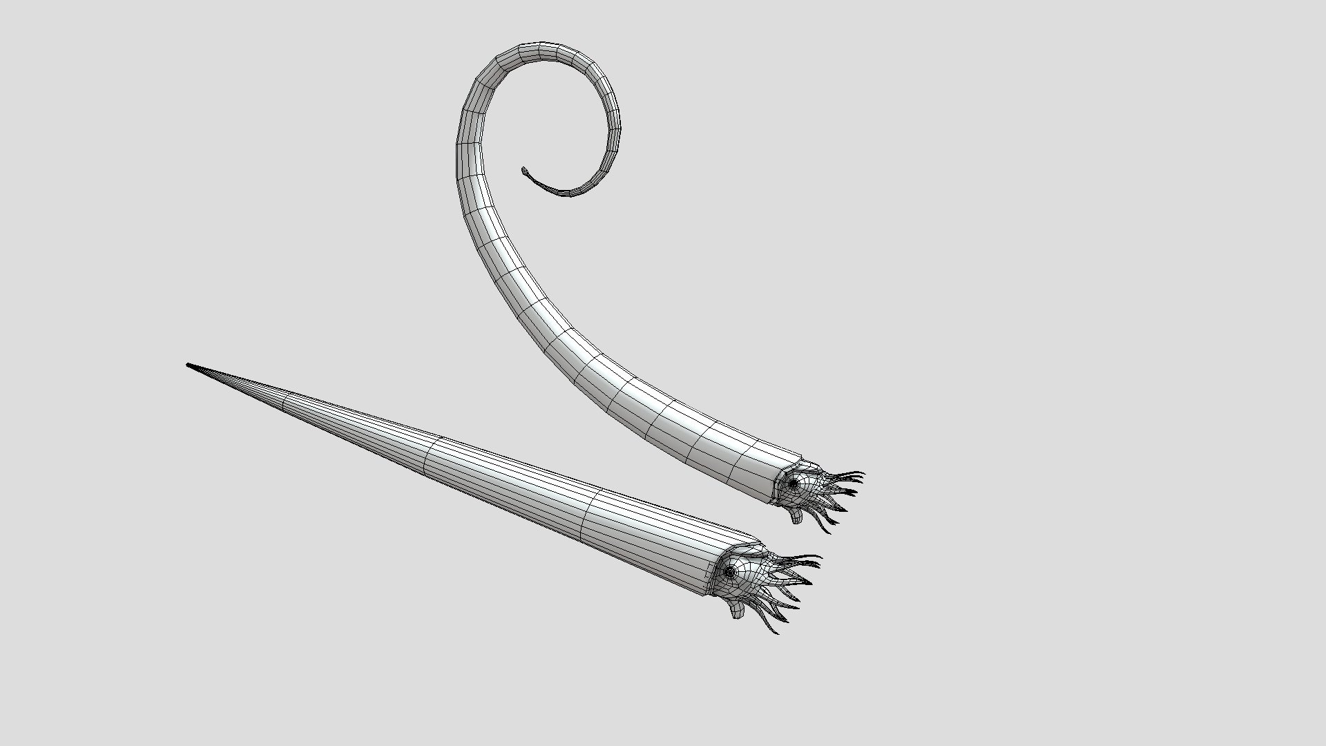 Bactritida indent. - 3D model by Paleobiome [4cb301f] - Sketchfab