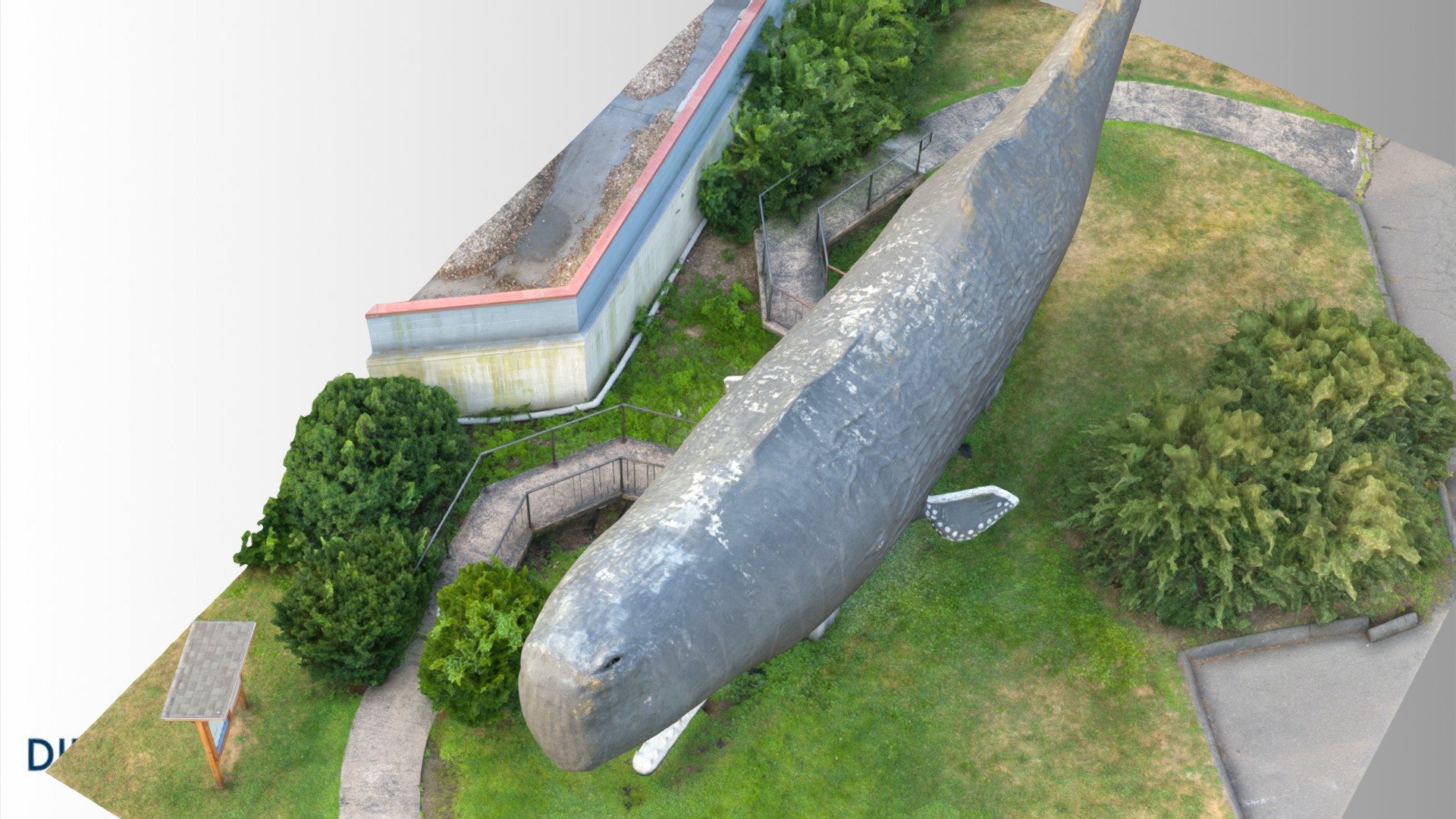 Conny the Whale - 3D model by Direct Dimensions (@dirdim) [4cb6a70 ...