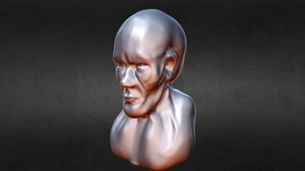 Head-Study - 3D model by Artworkz [4cb82cc] - Sketchfab