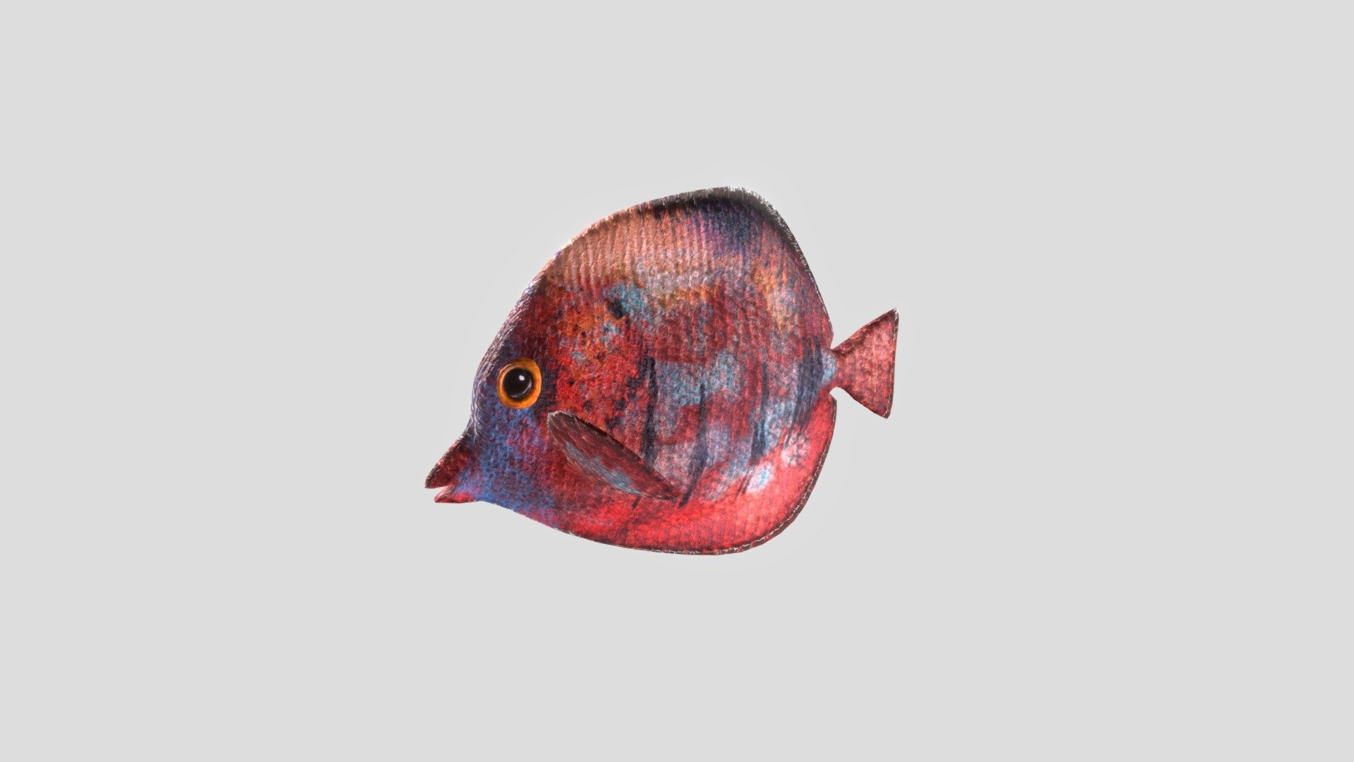 Fish - 3D model by shellybrulez [4cc6843] - Sketchfab