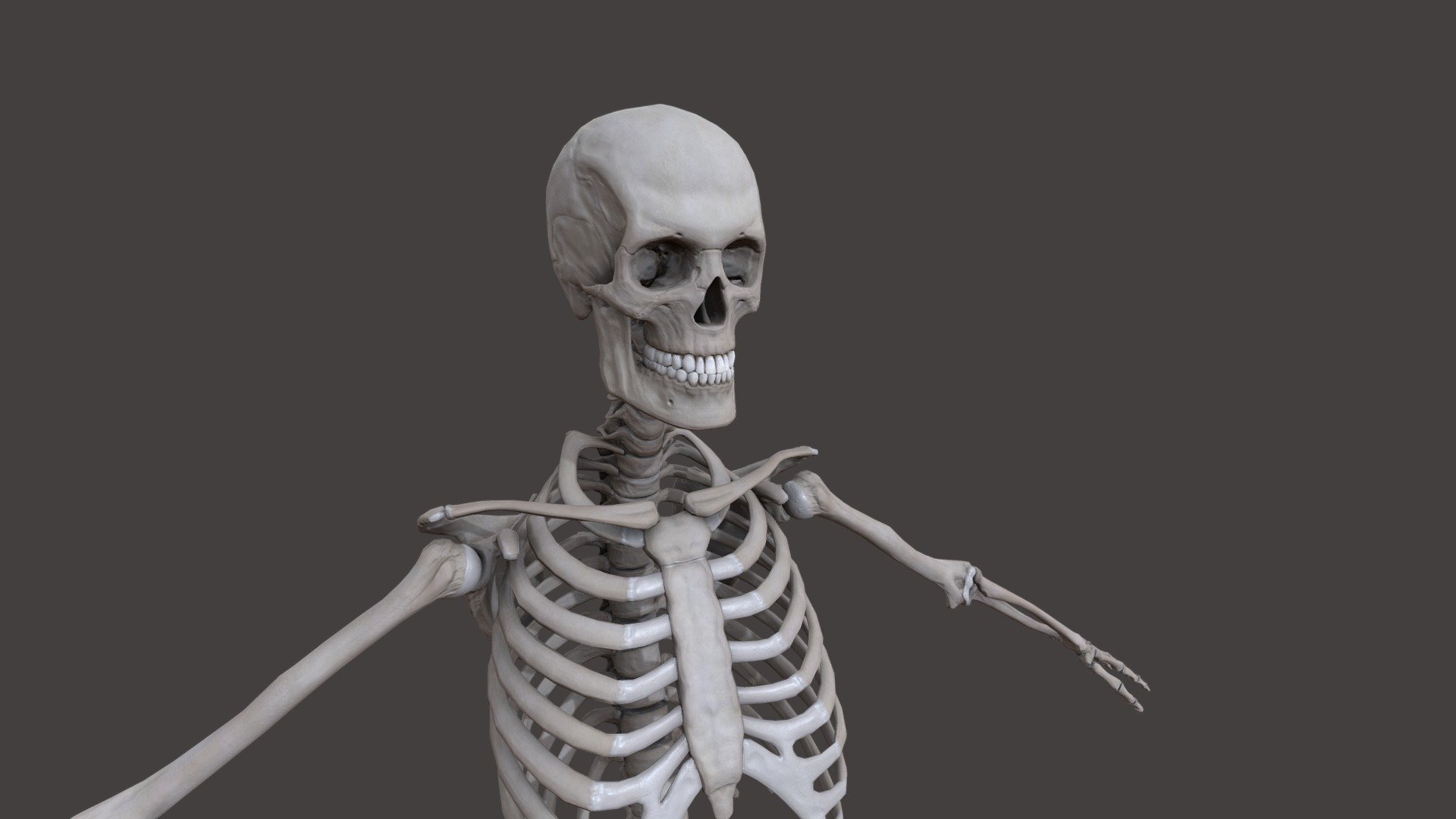 Skeleton - 3D model by DVTDemon [4ccfd69] - Sketchfab