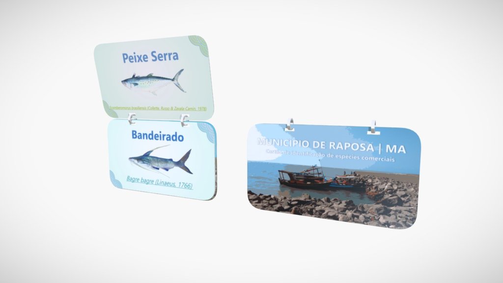 Fish Cards - 3D model by dianamid (@dianamidlol) [4cd03e1] - Sketchfab